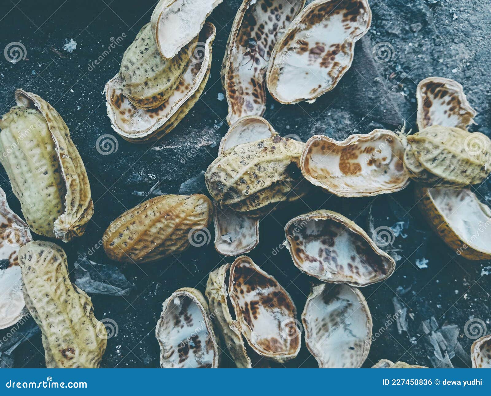 Peanut Shells Scattered on the Ground Stock Photo - Image of food ...