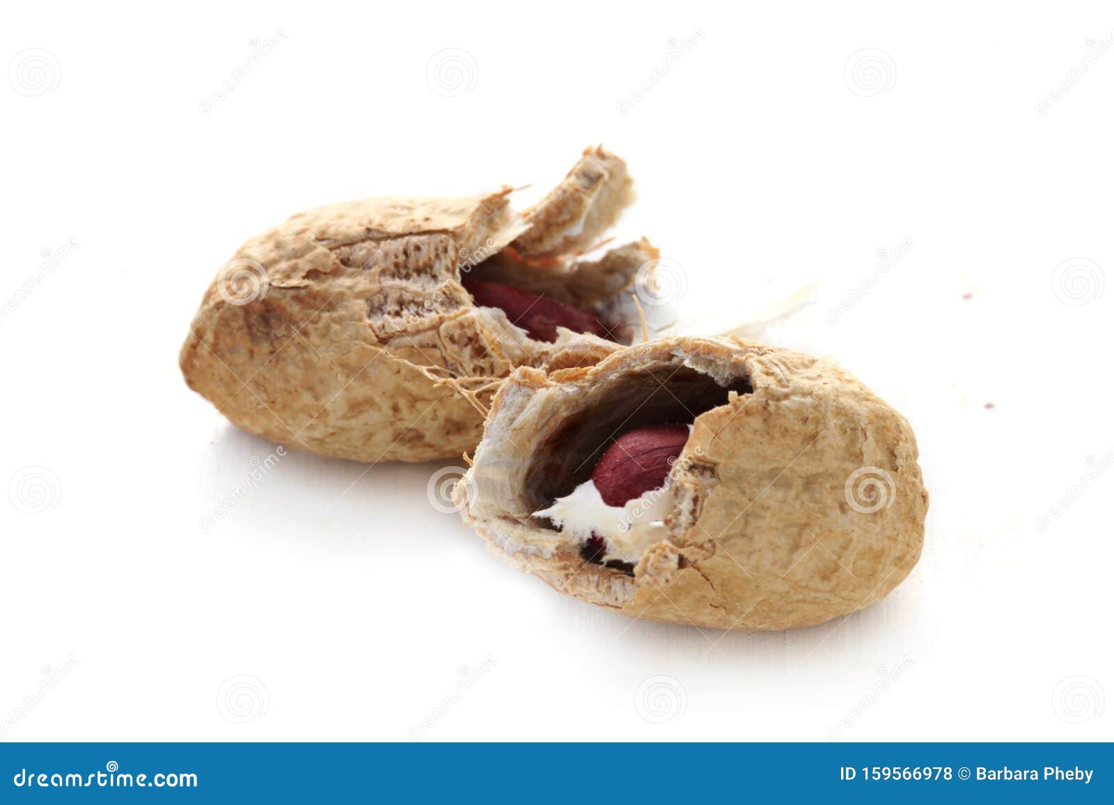 Peanut stock photo. Image of broken, healthy, eating - 159566978