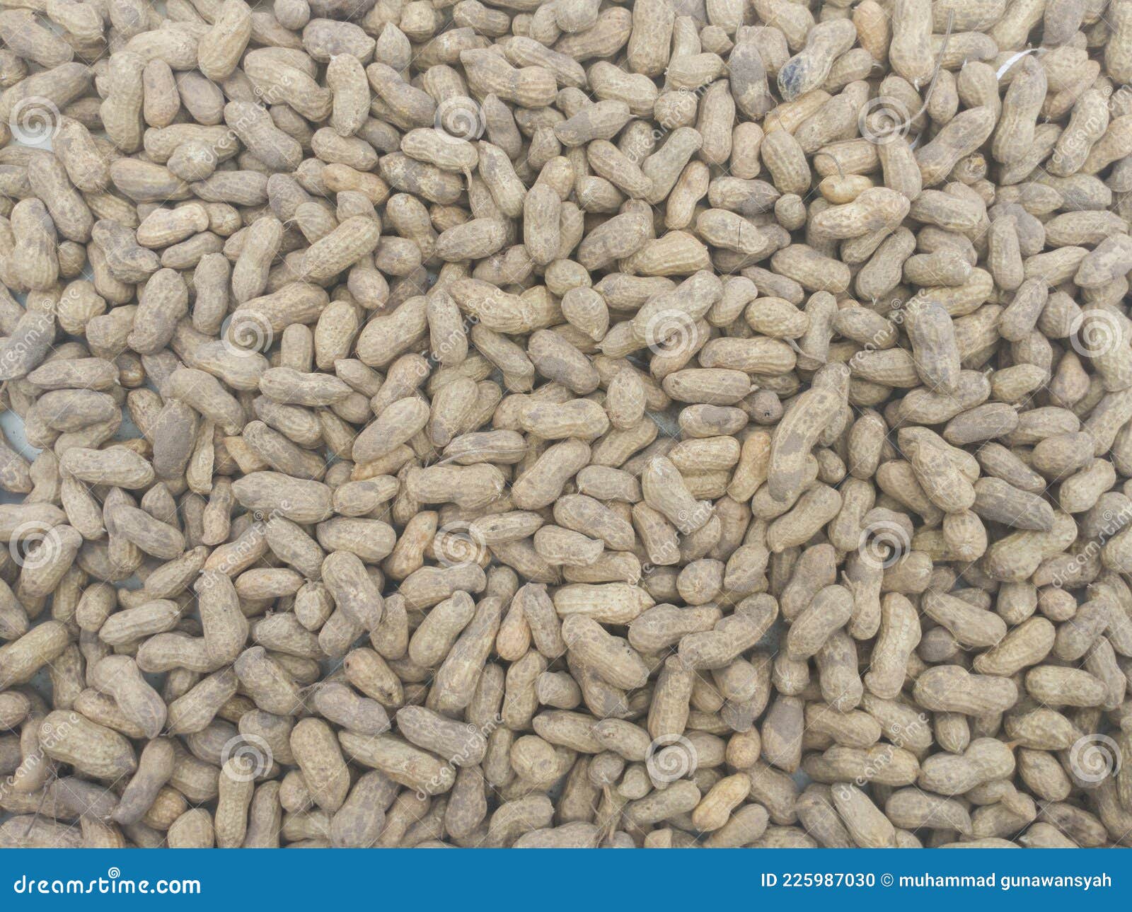 Peanut with Skin, Background Texture Stock Photo - Image of ingredient ...