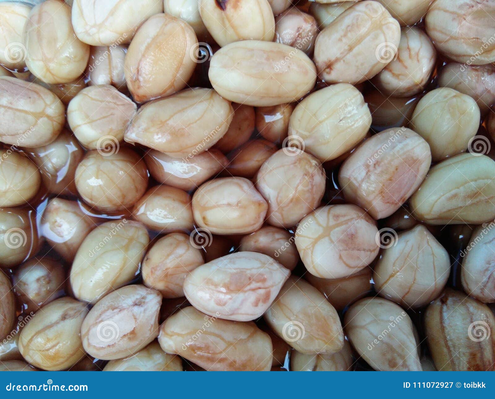 Peanut soaking in water stock image. Image of food, background - 111072927