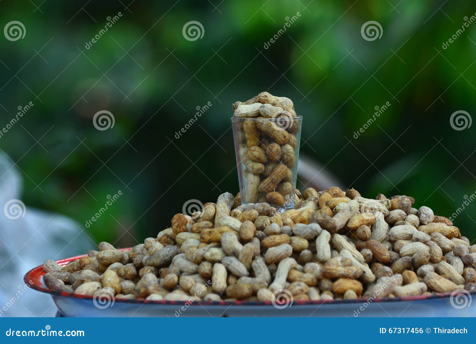 Peanut stock photo. Image of vegetable, peanuts, fruits - 67317456