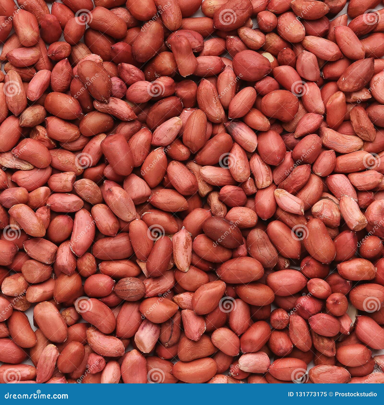 Peanut Texture Royalty-Free Stock Photography | CartoonDealer.com #49852823