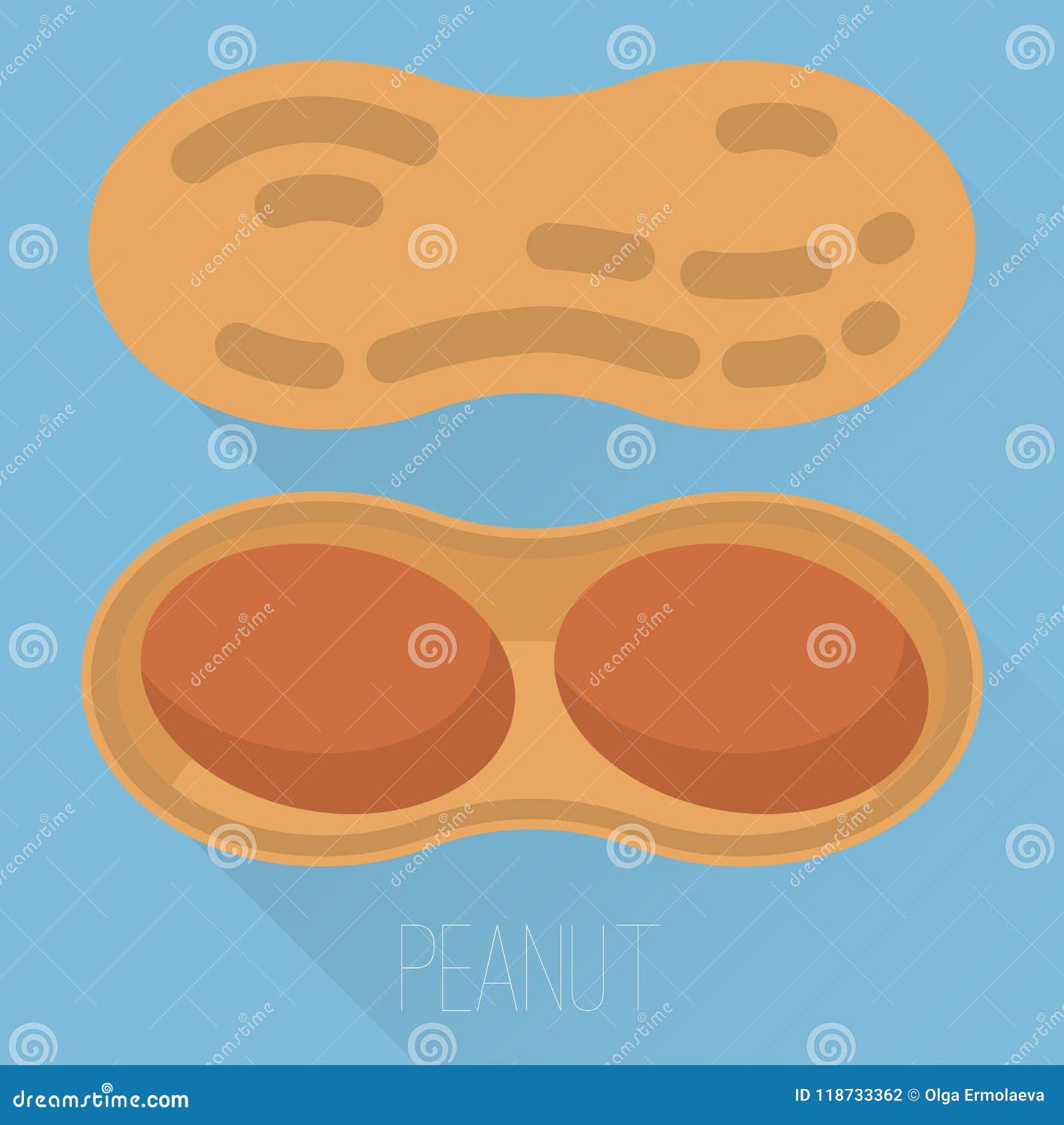 Peanut. Vector Drawing | CartoonDealer.com #89258582