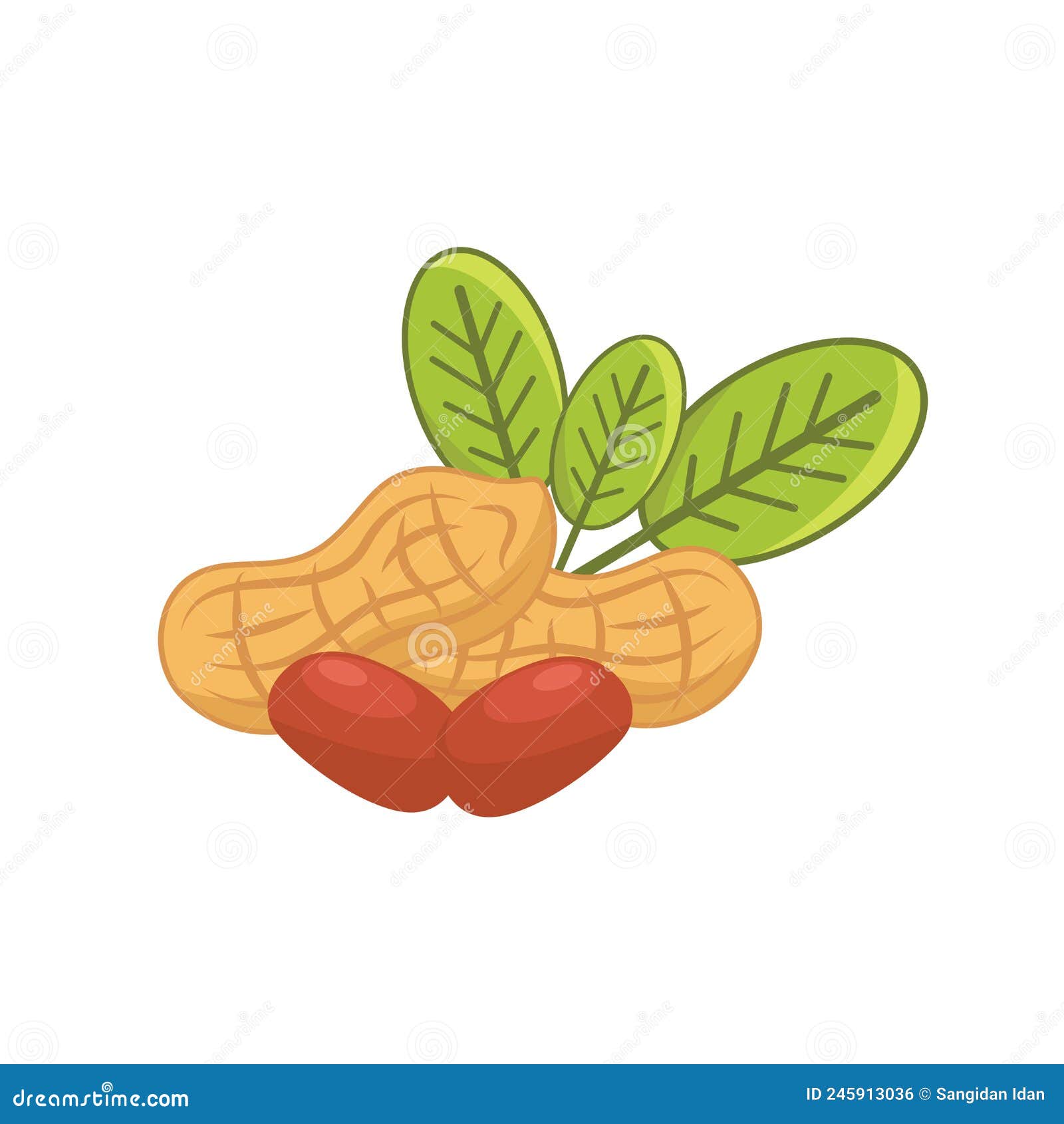 Peanut Vector Illustration Element Concept Design Template Stock Vector ...
