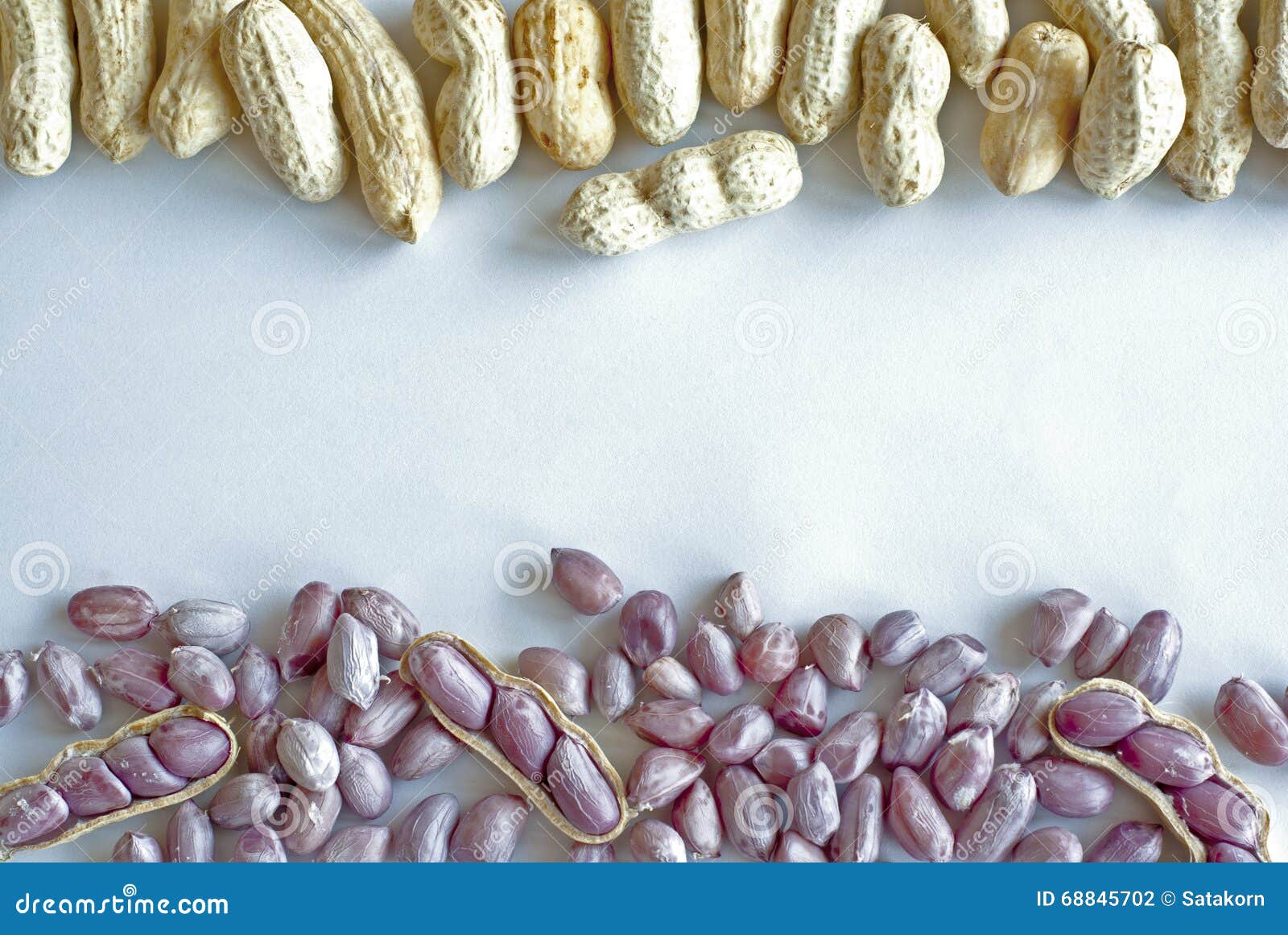 Peanut on white paper stock photo. Image of white, tabulate - 68845702