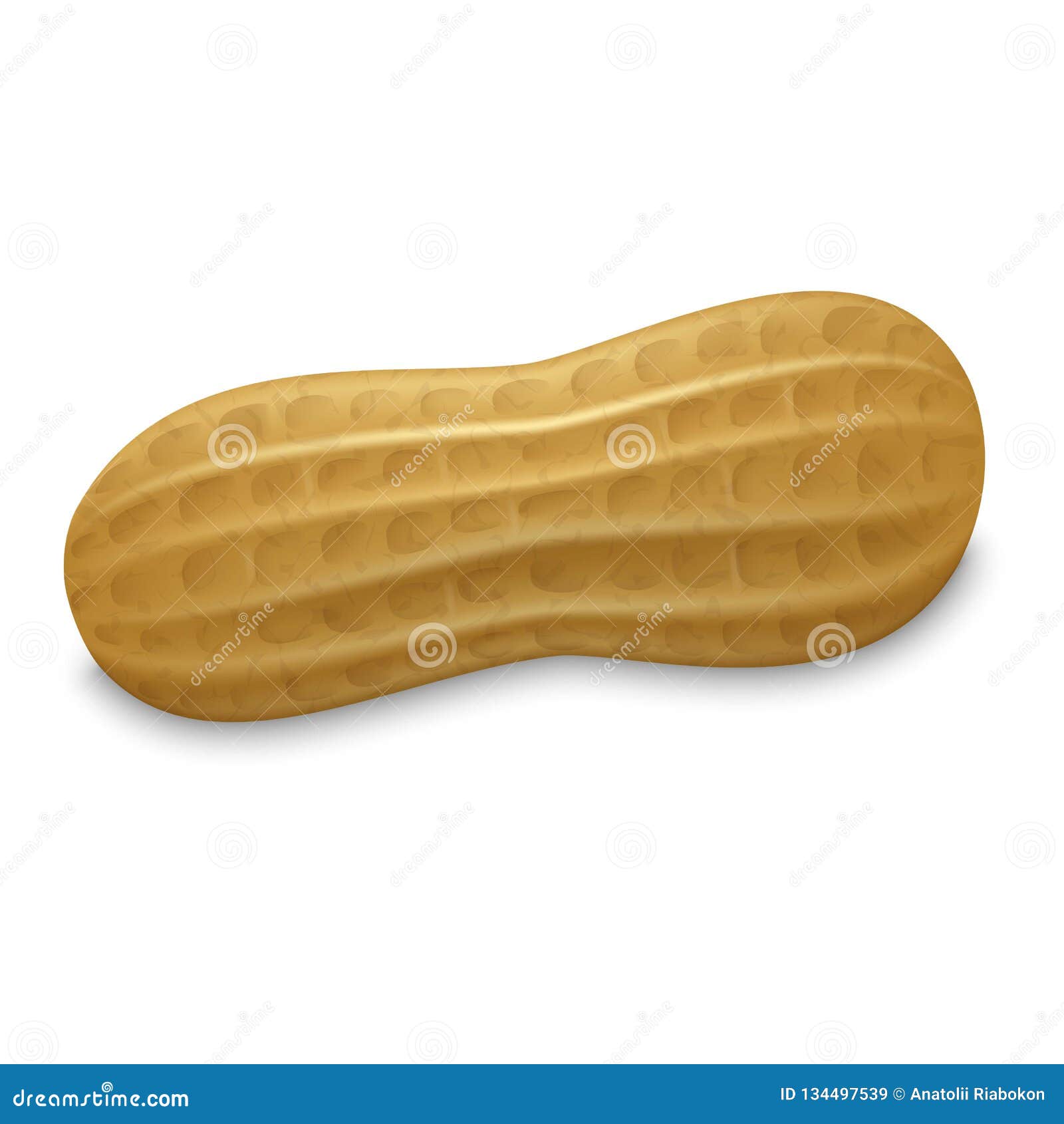 Peanut Shell Stock Illustrations – 1,344 Peanut Shell Stock ...