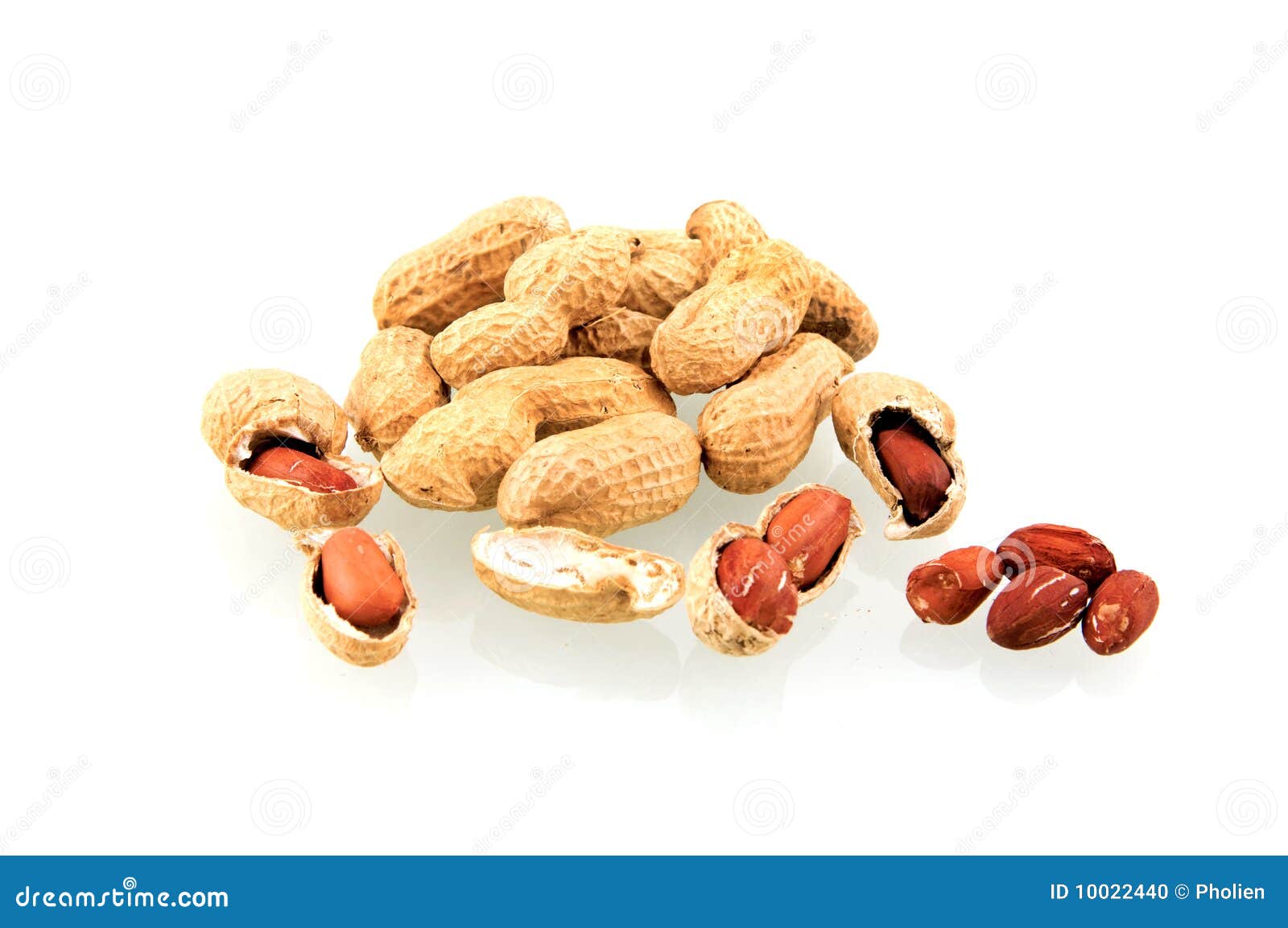 Peanuts stock photo. Image of white, food, snack, nutshell - 10022440