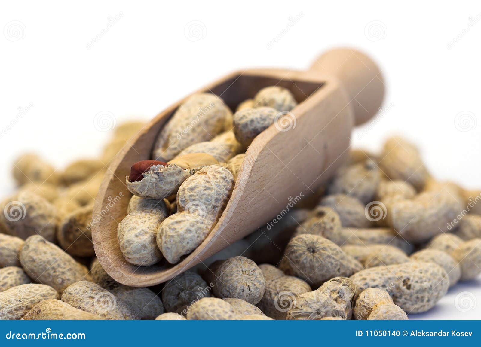 Peanuts stock photo. Image of core, monkey, appetite - 11050140