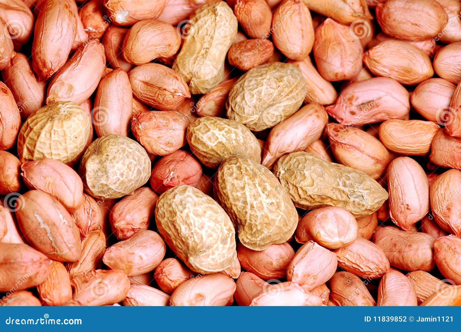 Peanuts stock photo. Image of snack, ingredient, foodstuff - 11839852