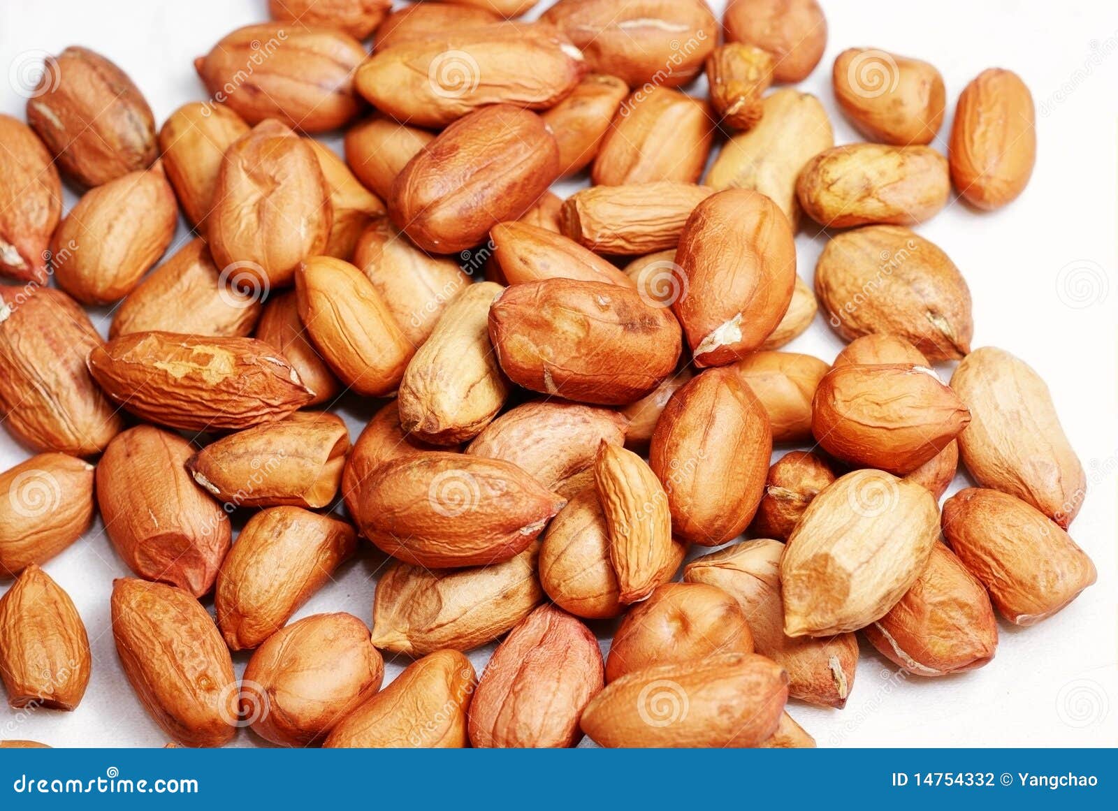 Peanuts stock photo. Image of seeds, peanuts, snack, plant - 14754332