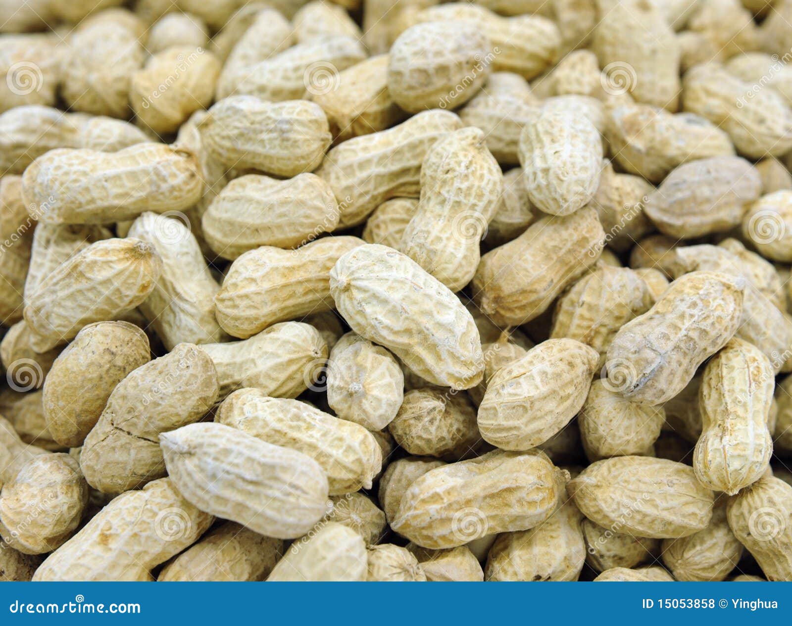 Peanuts Picture. Image: 15053858