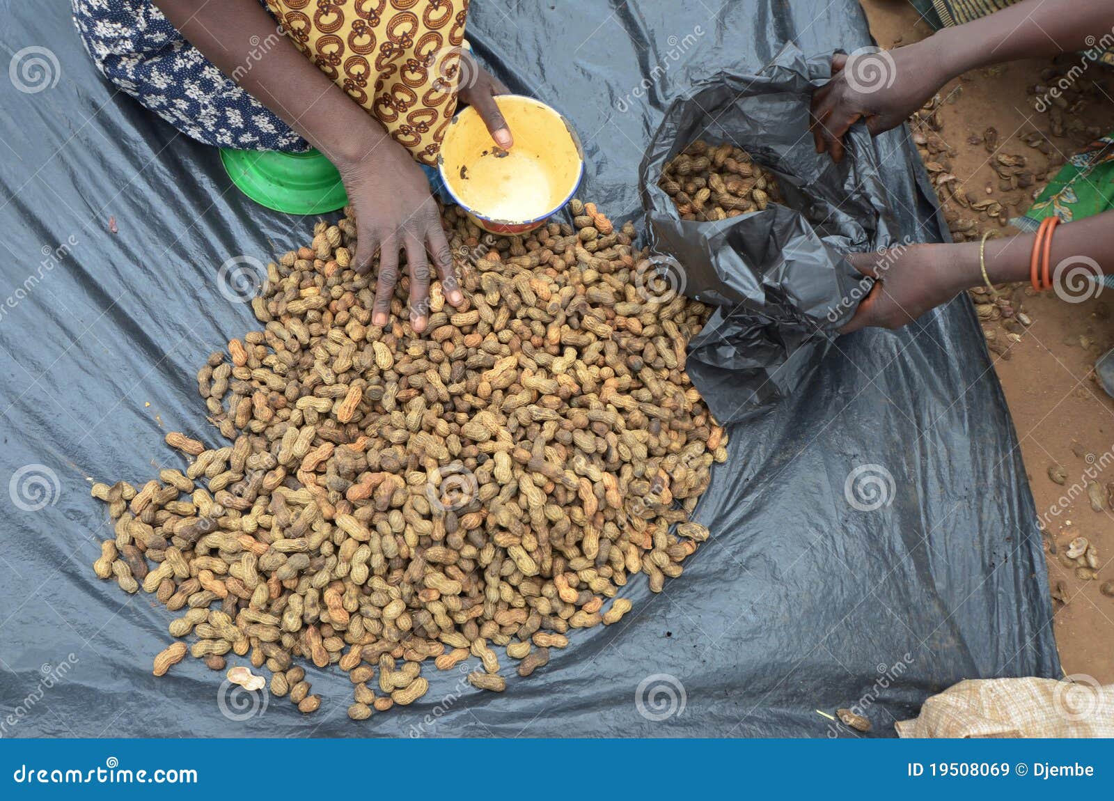 Group Of Peanuts Stacked Isolated On White Background Stock Photo ...