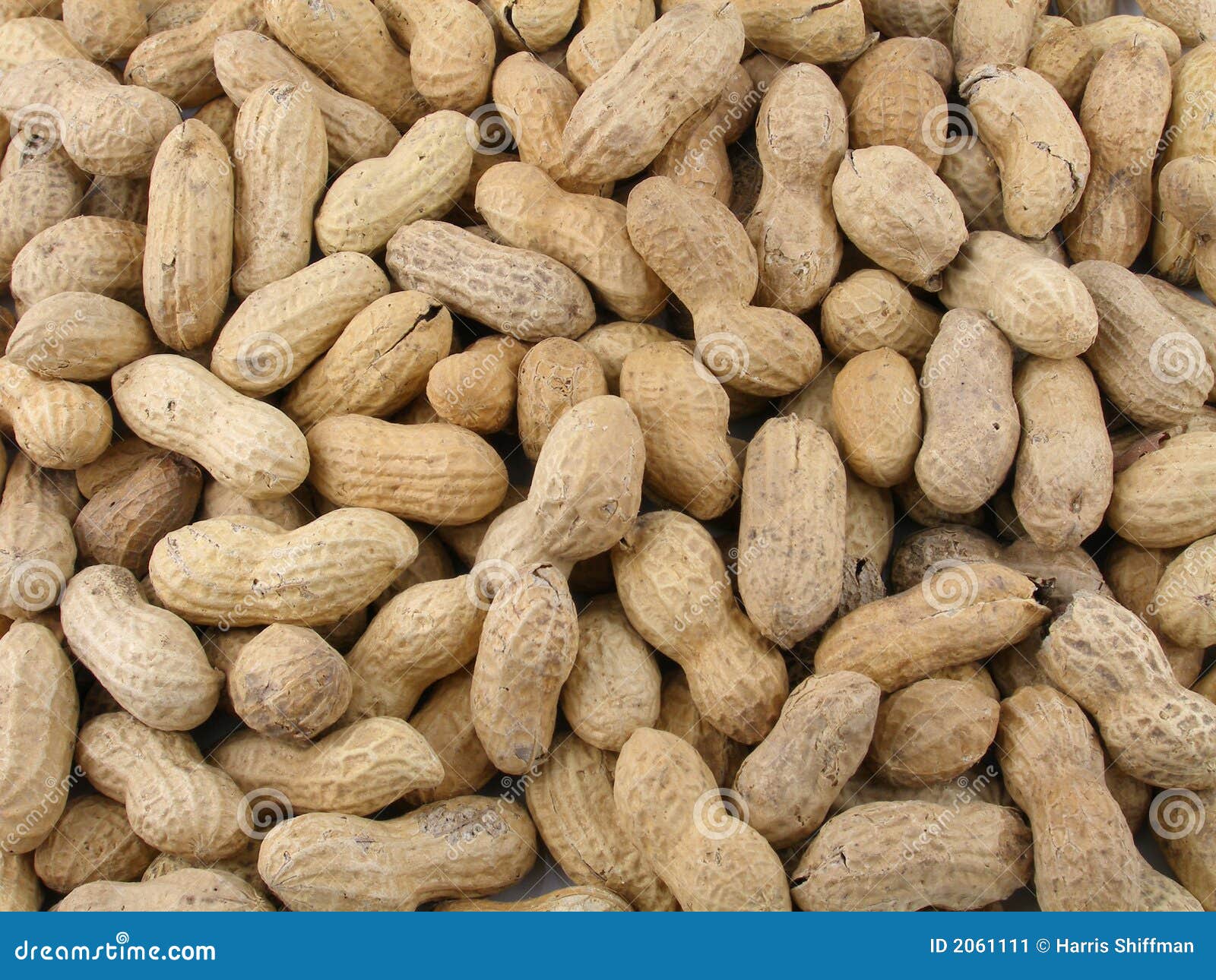 Peanuts stock image. Image of ballpark, baseball, boiled - 2061111