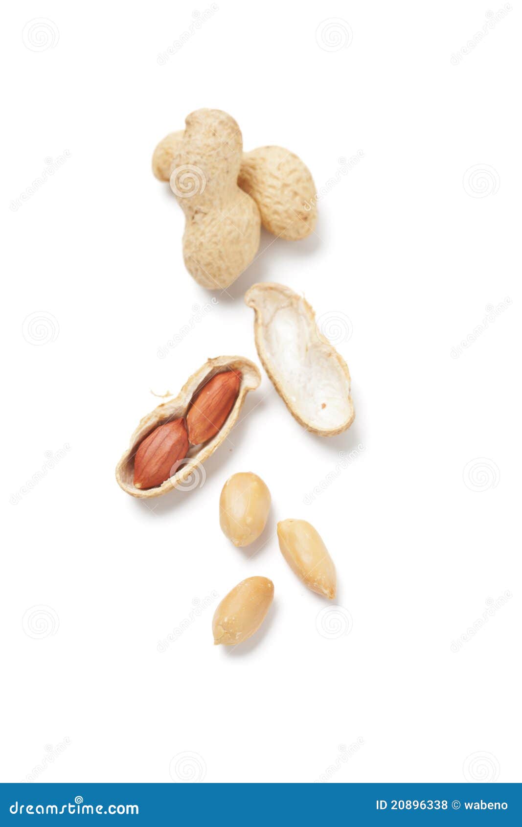Peanuts stock photo. Image of fruits, peanut, open, closeup - 20896338