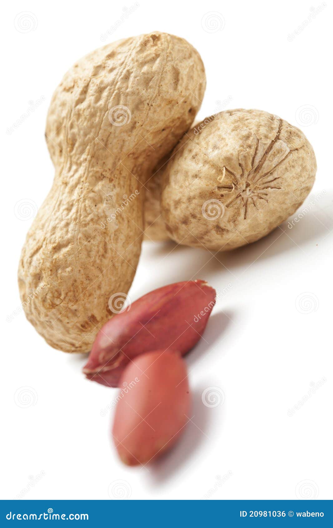 Peanuts stock photo. Image of closeup, vegetable, cracked - 20981036