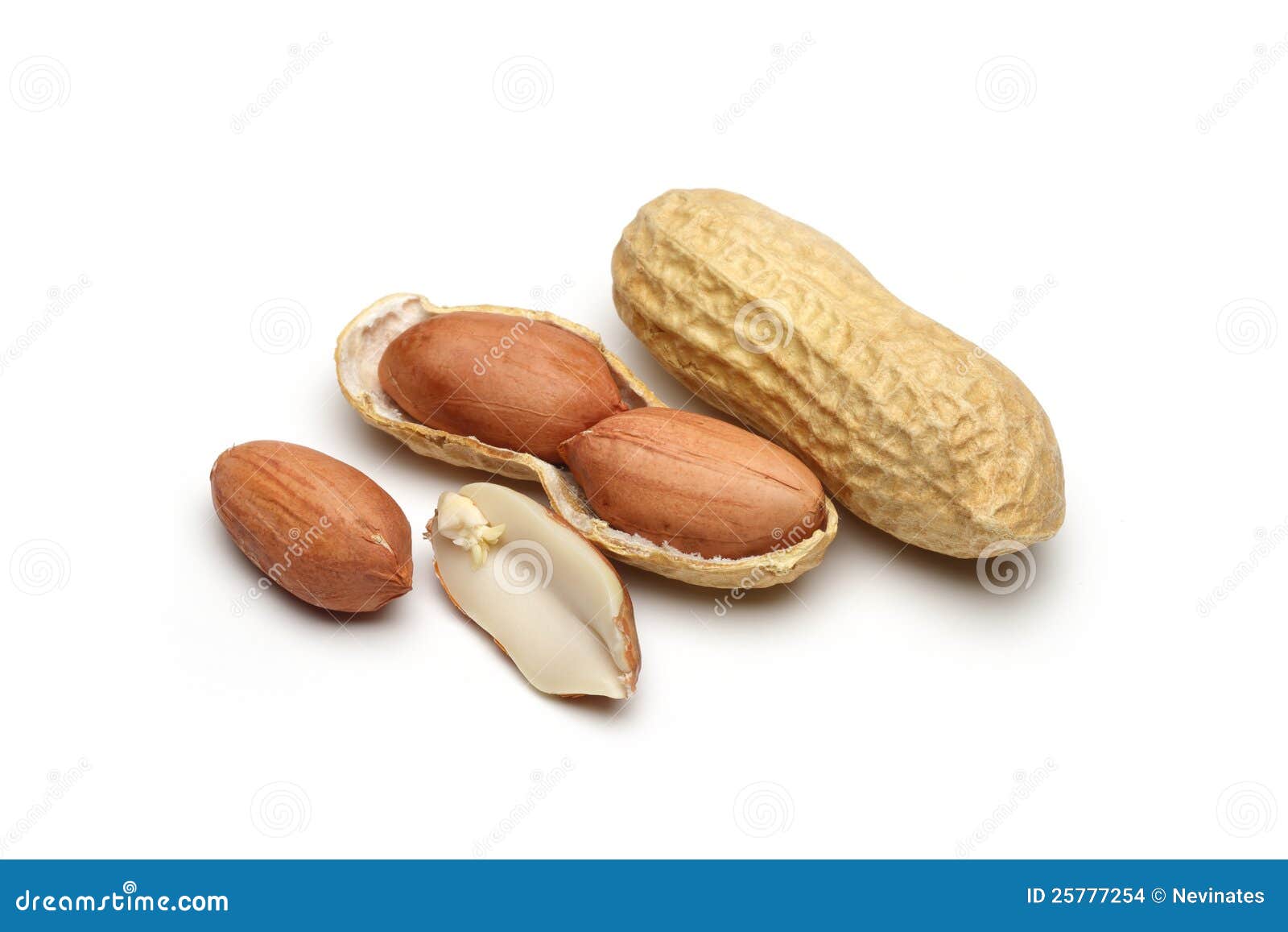 Peanuts stock photo. Image of food, remote, white, snack - 25777254