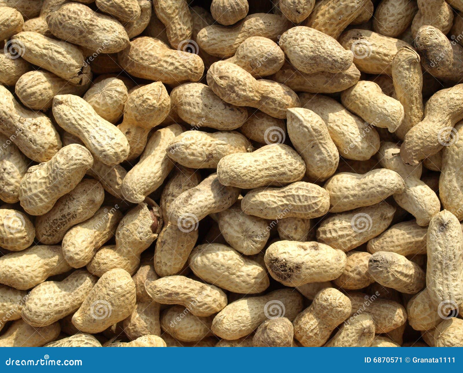 Peanuts Picture. Image: 6870571