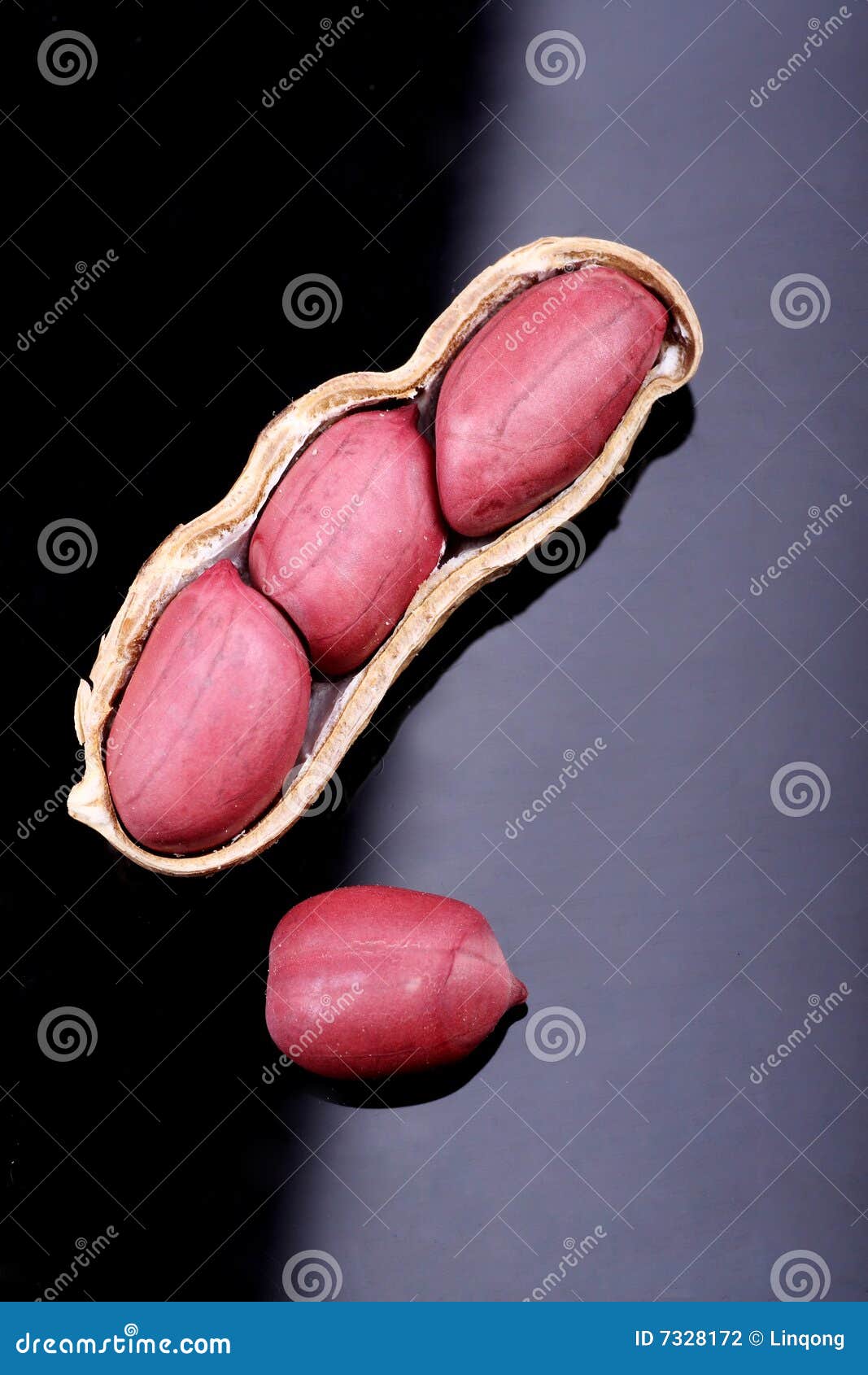 Peanuts stock photo. Image of closeup, companionship, open - 7328172