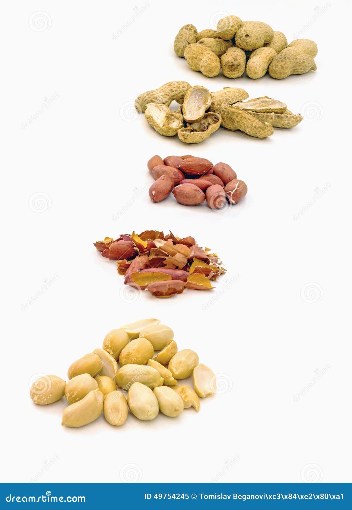 Peanuts stock image. Image of dried, earthy, hard, legume - 49754245