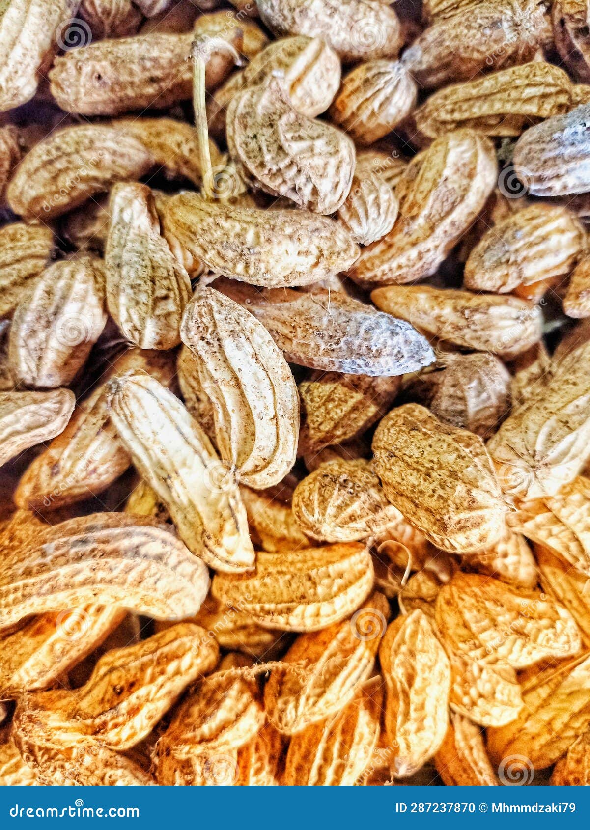 Edible Legume with Protein and Healthy Fats. Stock Photo - Image of ...