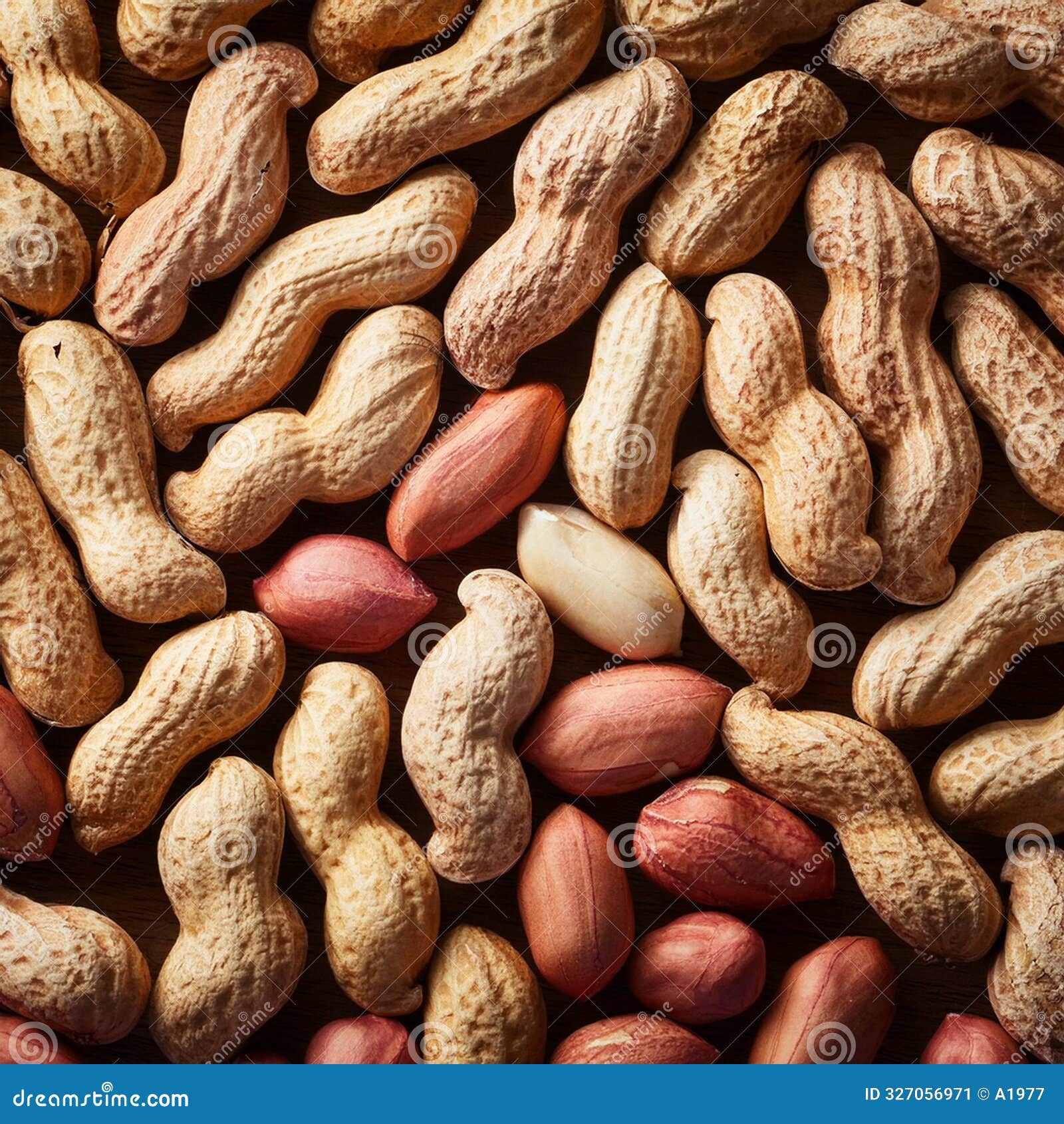 Peanuts Food Objects Cartoon Illustration | CartoonDealer.com #38330030