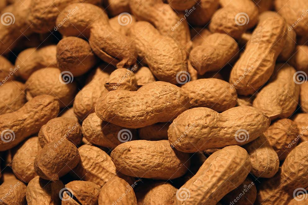 Peanuts background 1 stock image. Image of peanut, macro - 61977