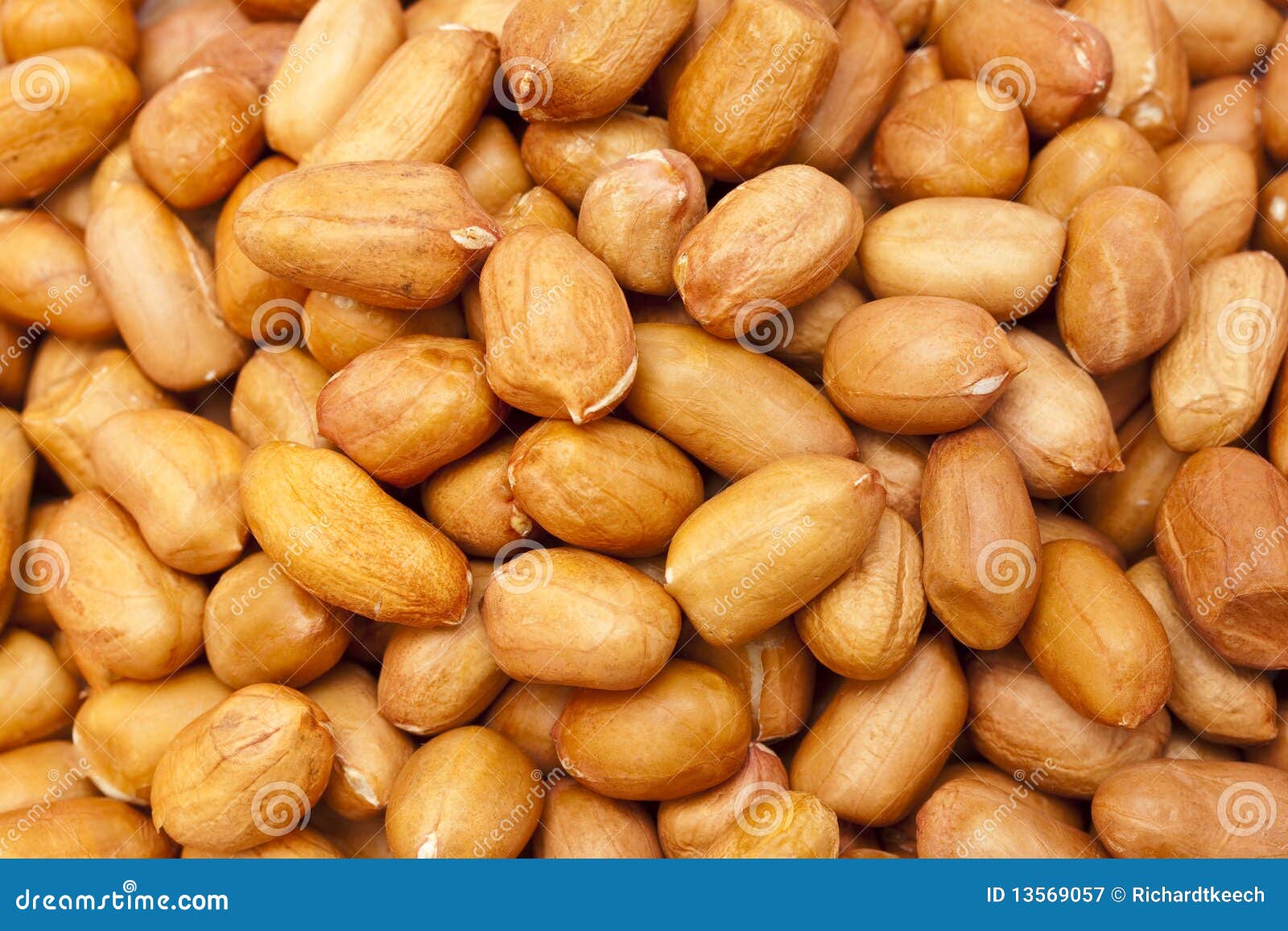 Peanuts Background stock image. Image of groundnuts, food - 13569057