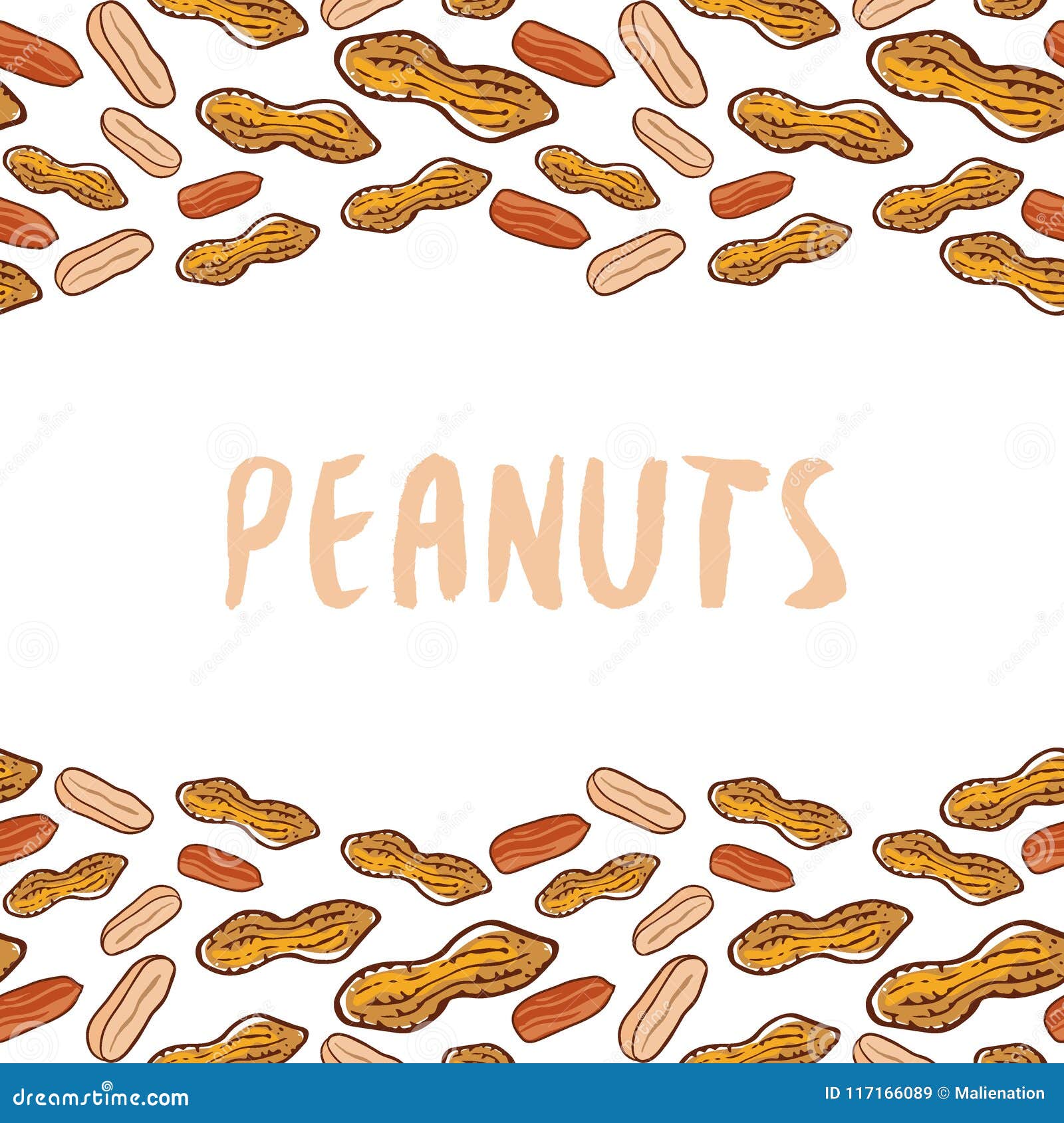 Peanuts Background. Nuts Hand Drawn Vector Illustration. Packaging ...