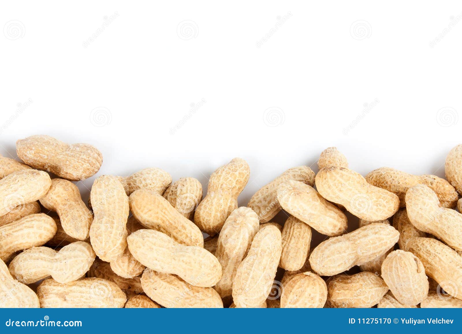Peanut Border Clip Art