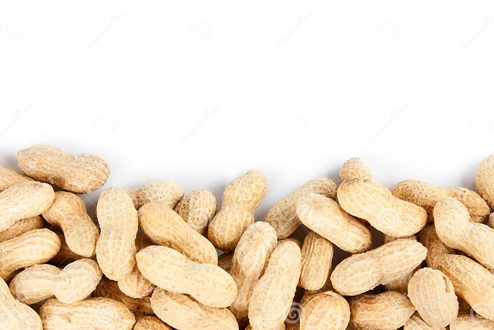 Peanuts border stock photo. Image of peanuts, nuts, tasty - 11275170