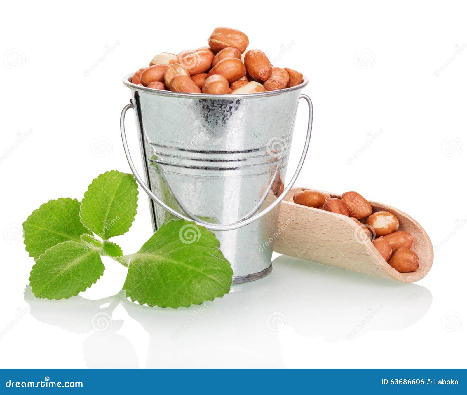 A Bucket Of Peanuts Royalty-Free Stock Image | CartoonDealer.com #114500710