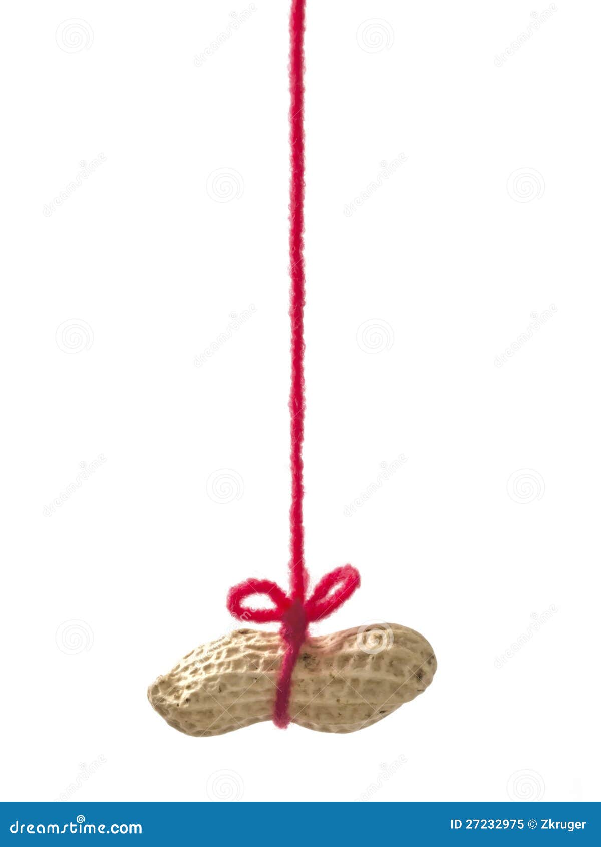 Peanuts Carrot and Stick Concept Stock Image - Image of closeup, white ...