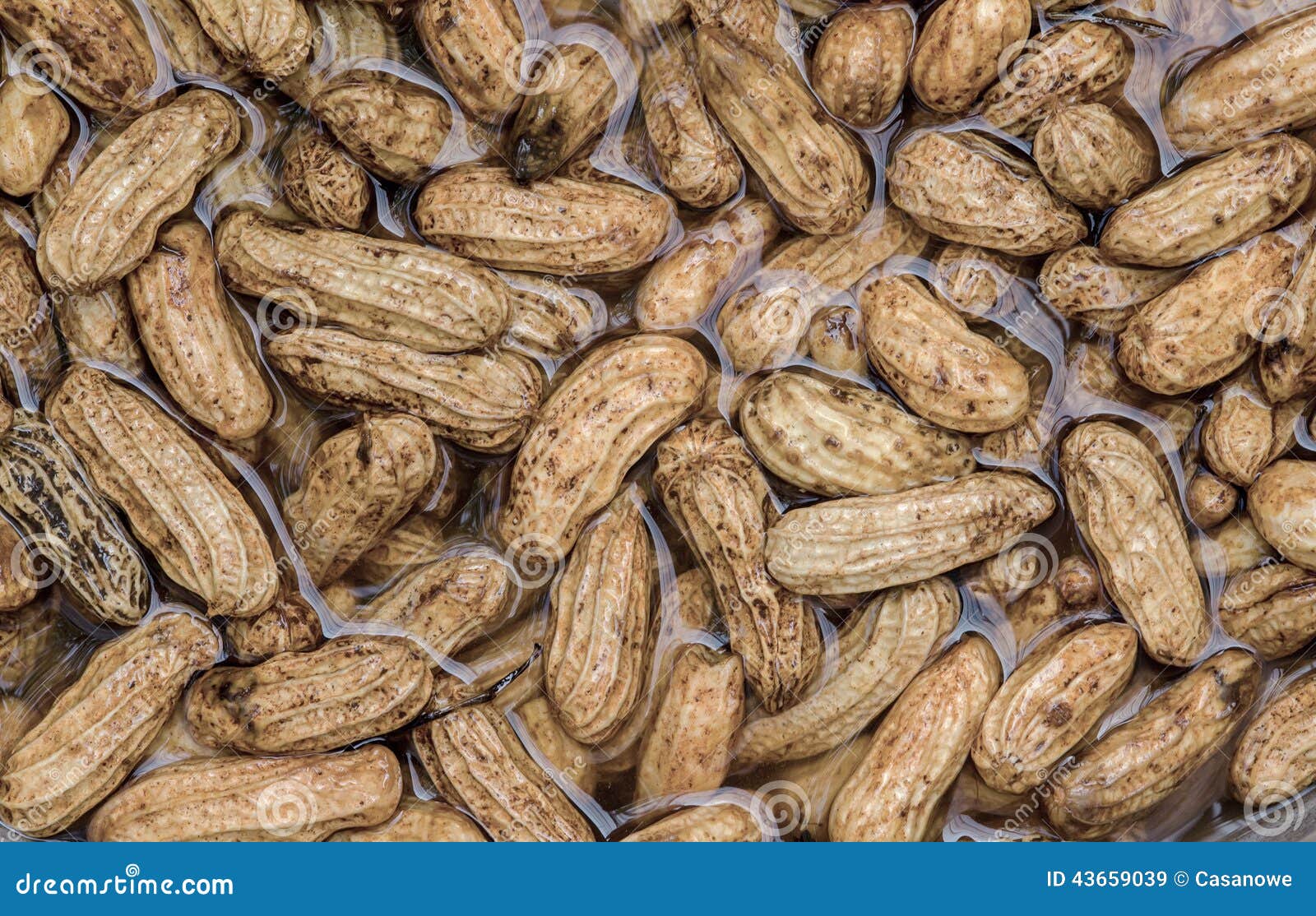 Peanuts cleaning in water stock image. Image of heap - 43659039