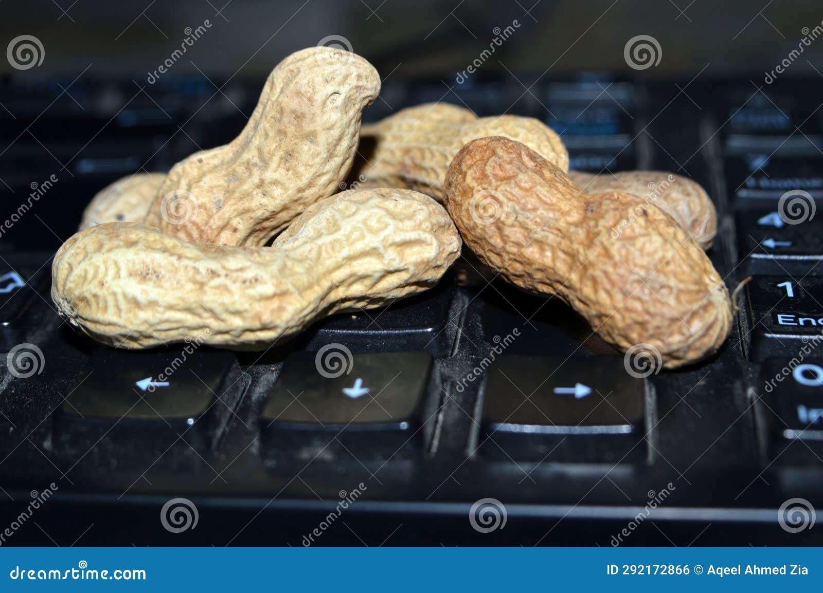 Peanuts on Computer Keyboard Stock Photo - Image of screen, meal: 292172866