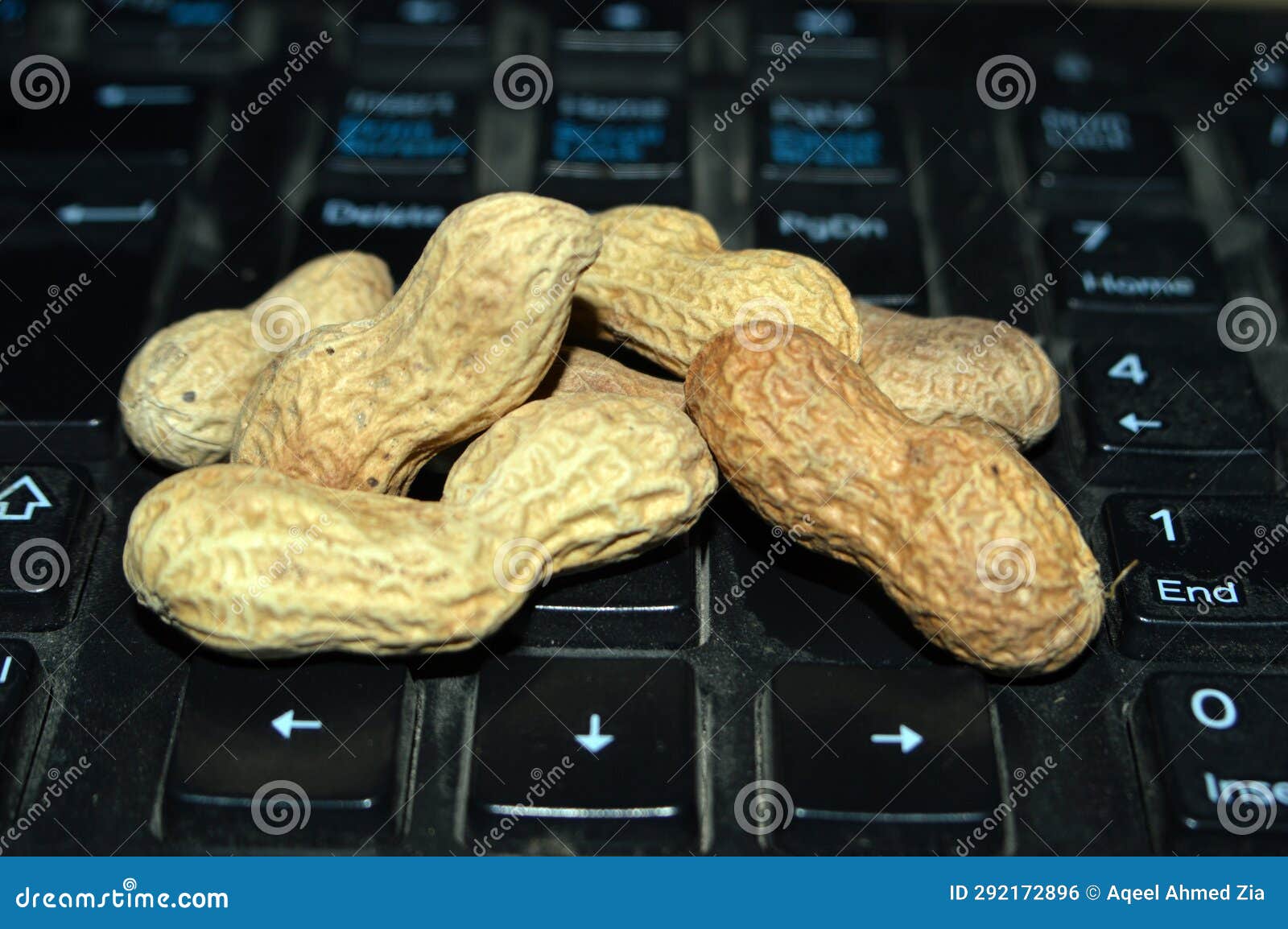 Peanuts on Computer Keyboard Stock Photo - Image of carving, brown ...