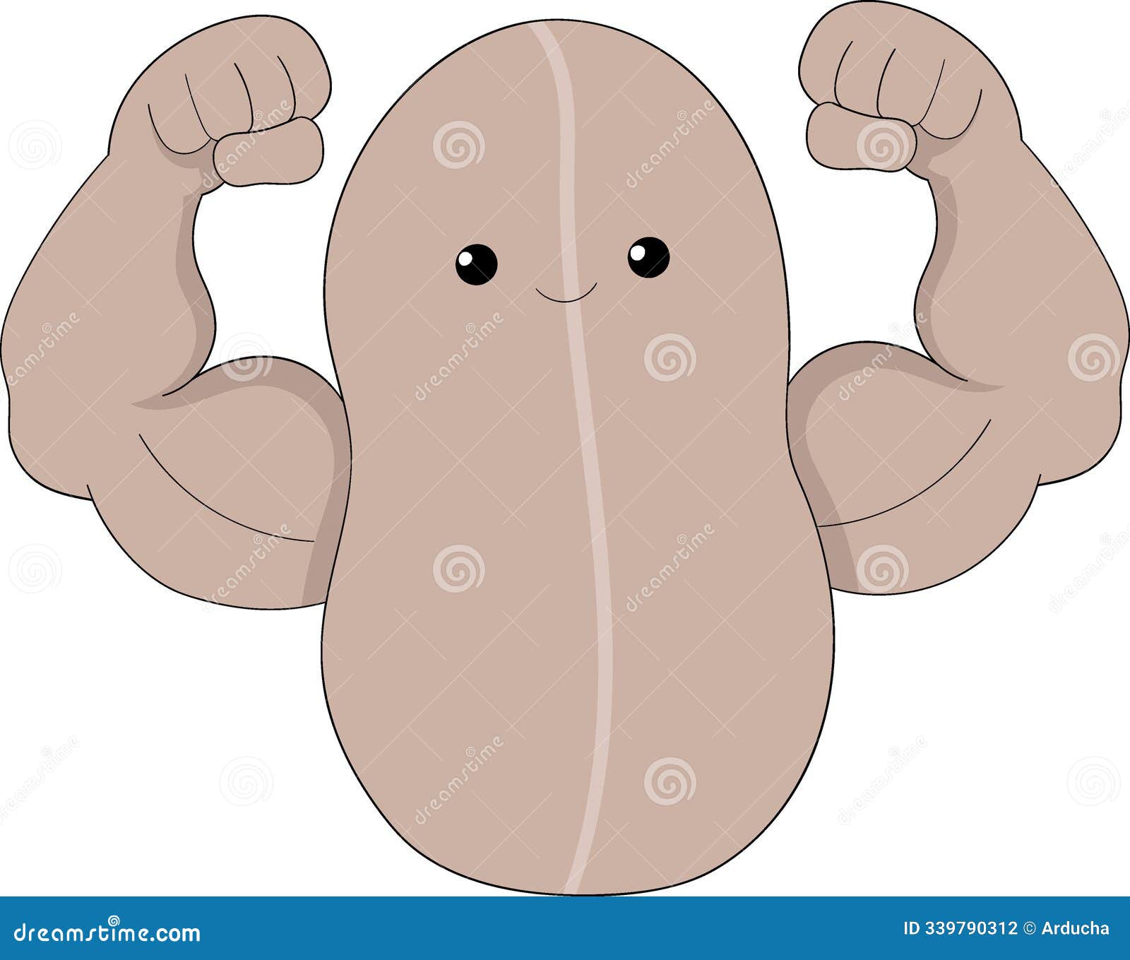 Peanuts Contain Protein Which Makes Muscles Develop Better Stock Vector ...