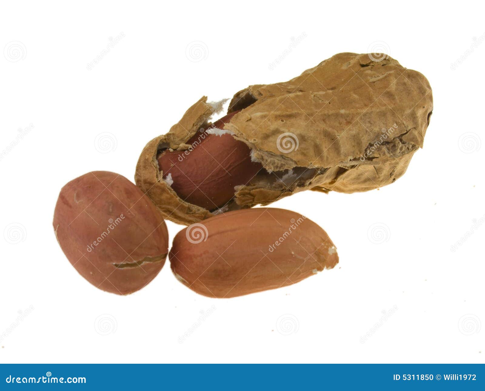 Peanuts and crushed shell stock photo. Image of food, kernel - 5311850