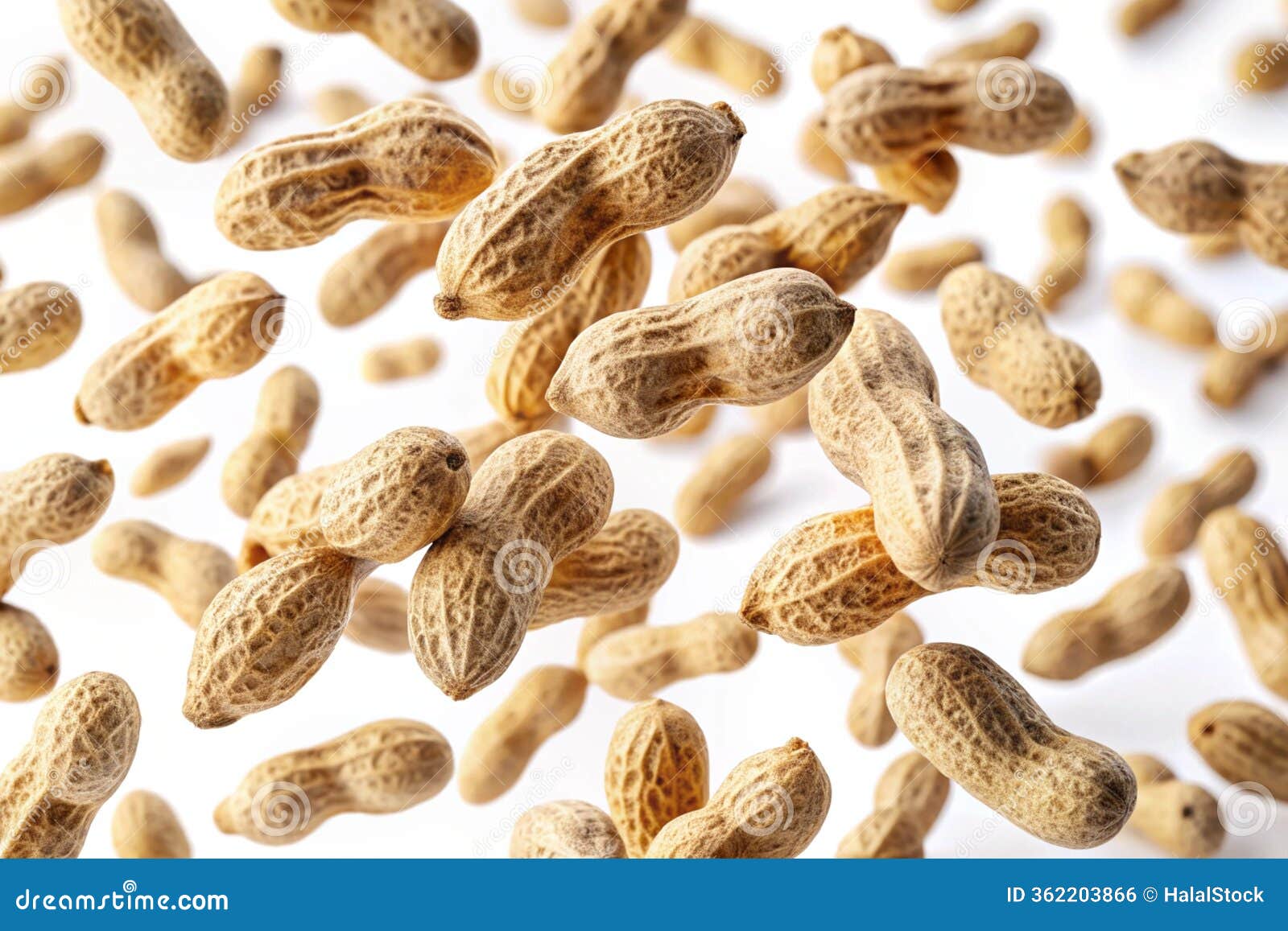 Peanuts Floating in the Air on White Background Stock Illustration ...