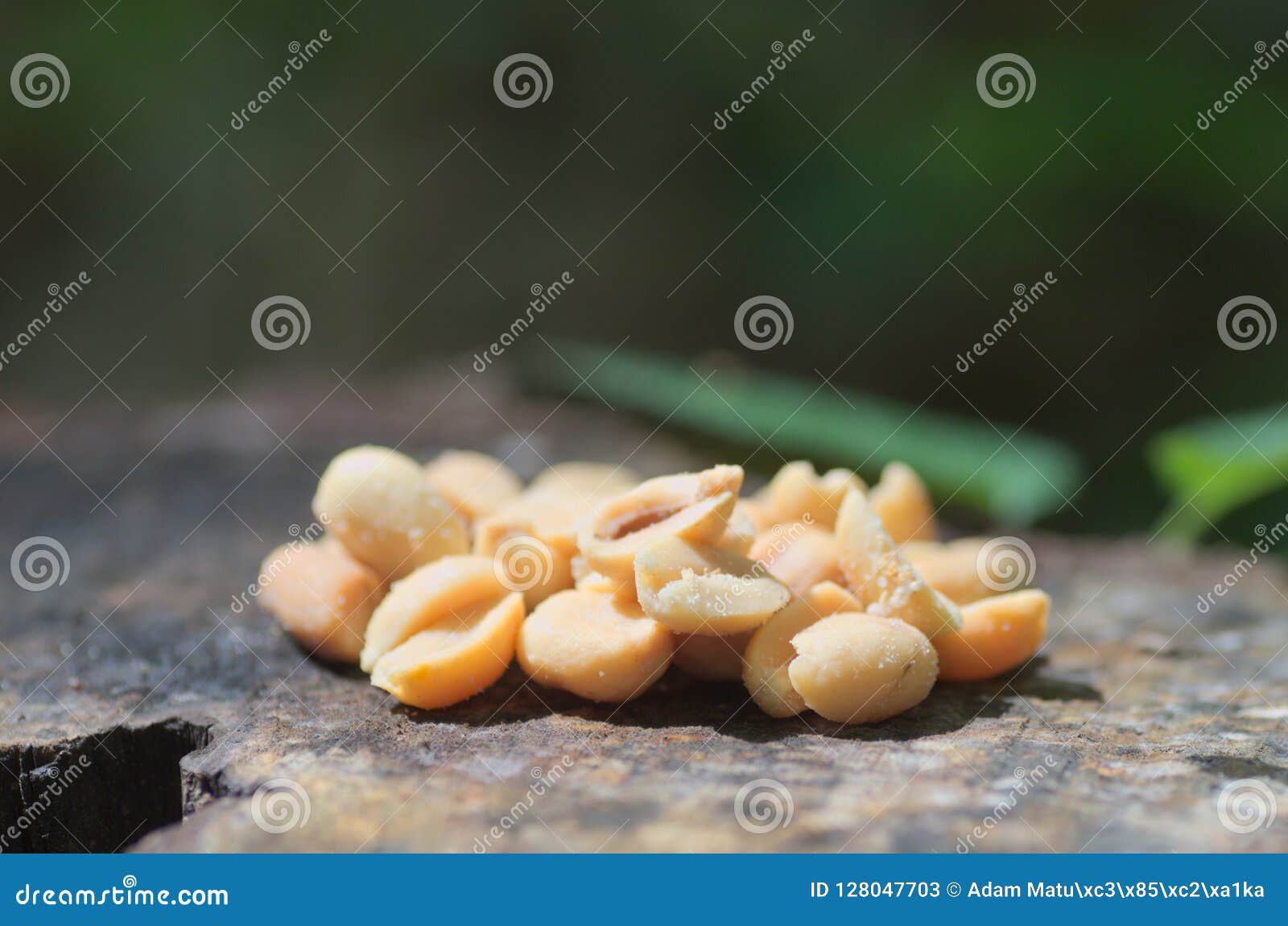 Peanuts in the forest stock image. Image of nature, delicious - 128047703