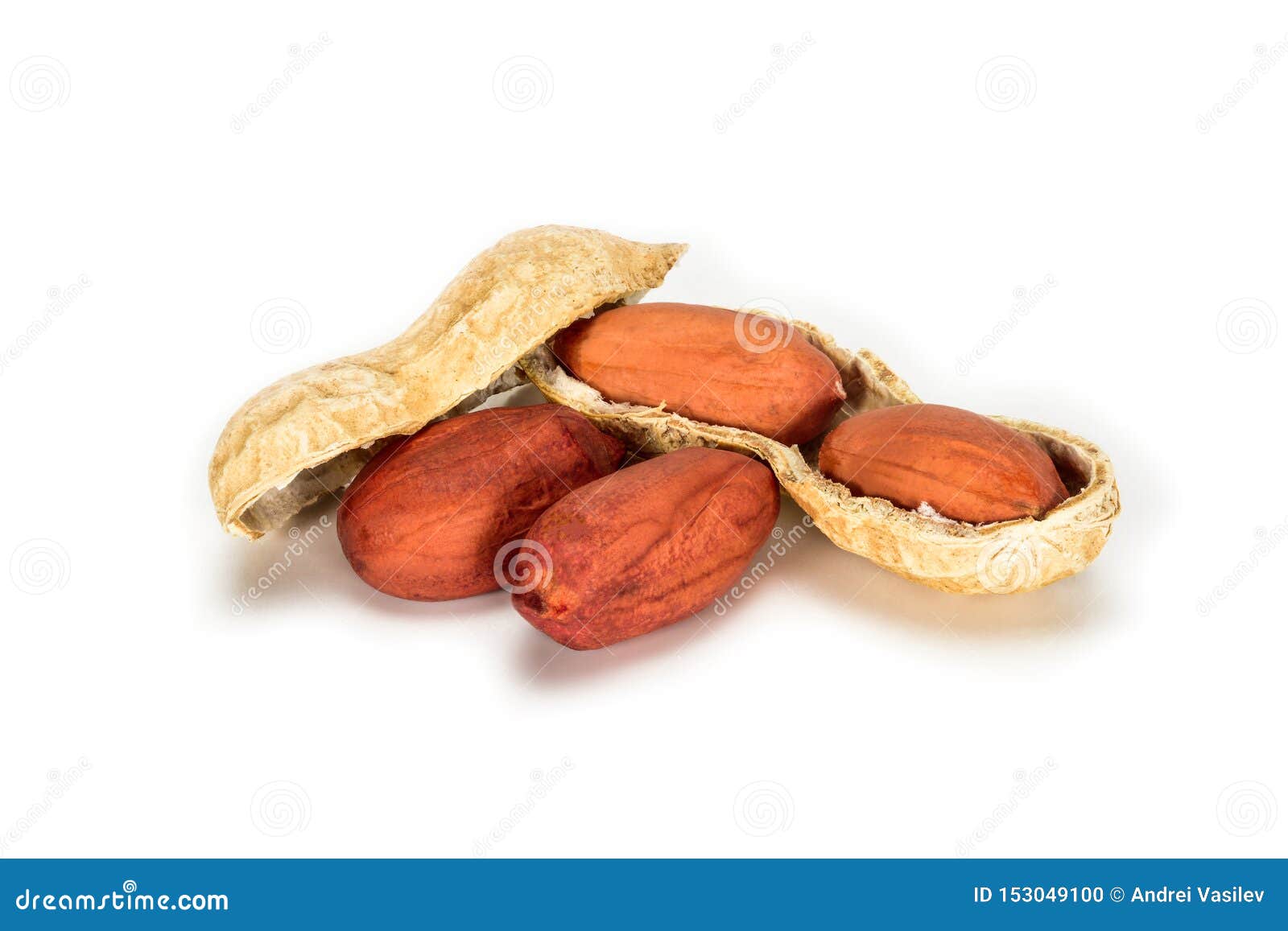 Peanuts. Four Nut Kernels With Open Shell, Isolated On White Background ...