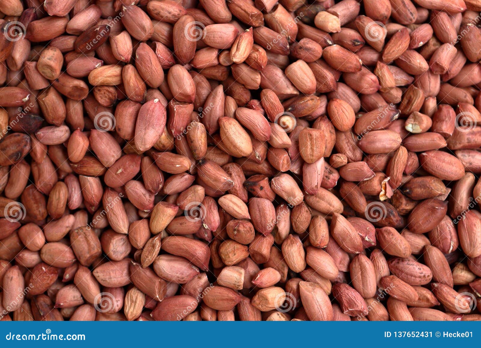 The Peanuts Freshly Harvested Stock Image - Image of structure, food ...