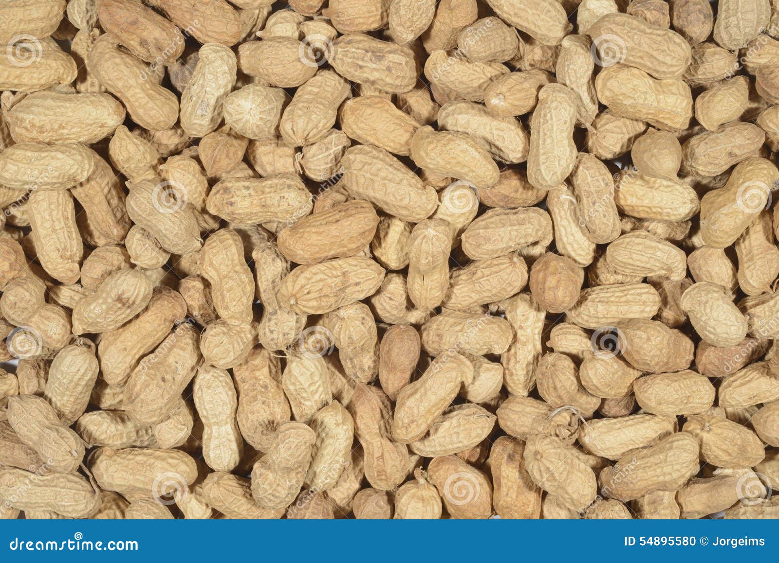 Peanuts stock photo. Image of shell, composition, fruit - 54895580