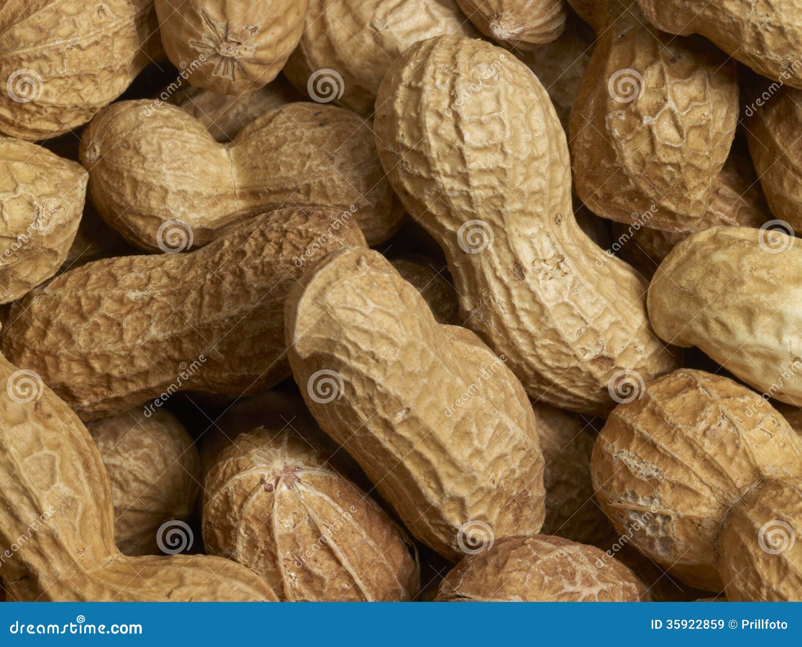 Peanuts stock image. Image of crop, seed, fruit, growth - 35922859