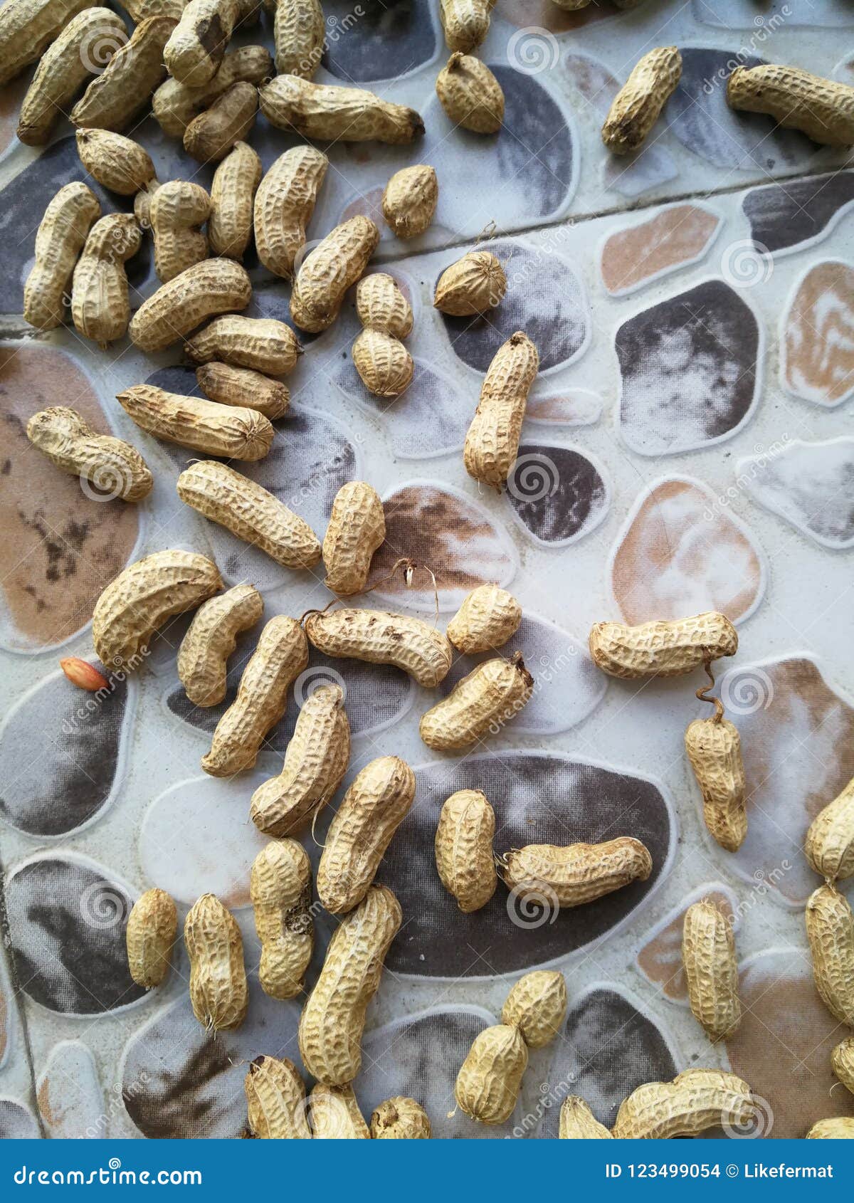 Peanuts stock photo. Image of ground, peanuts, peanut - 123499054