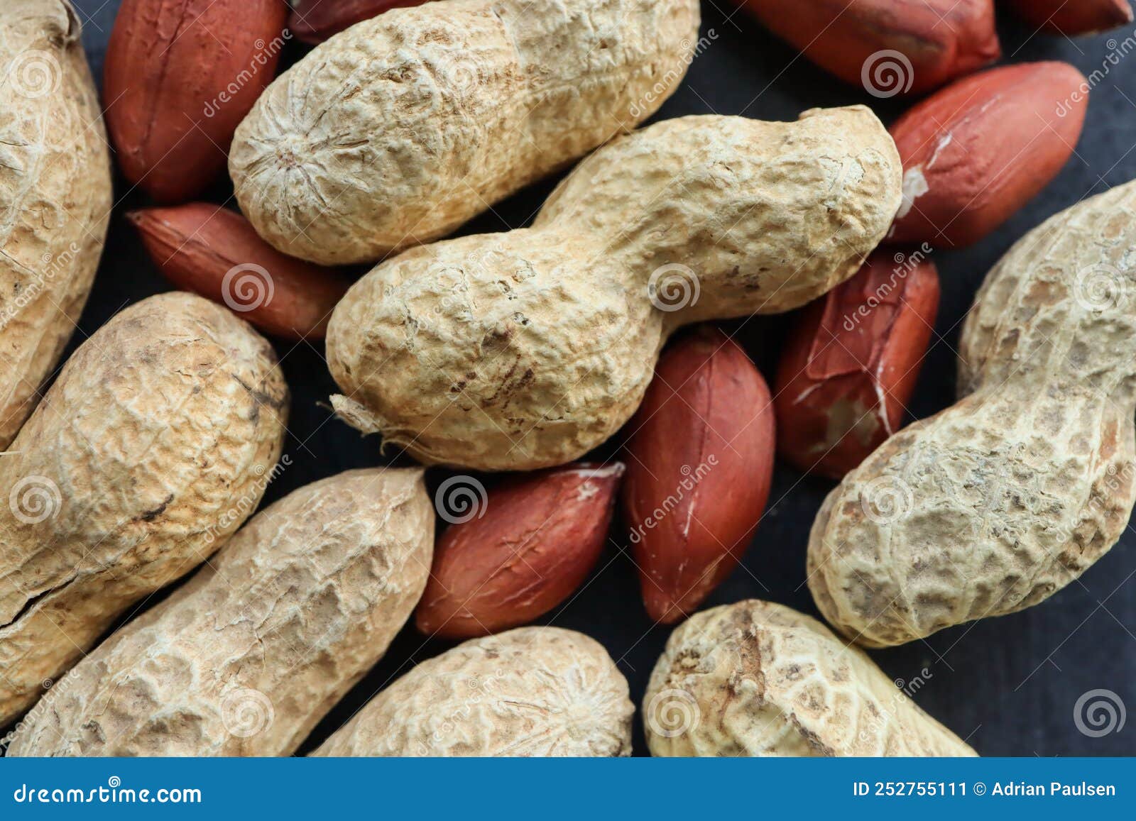Peanuts or groundnuts stock image. Image of protein - 252755111