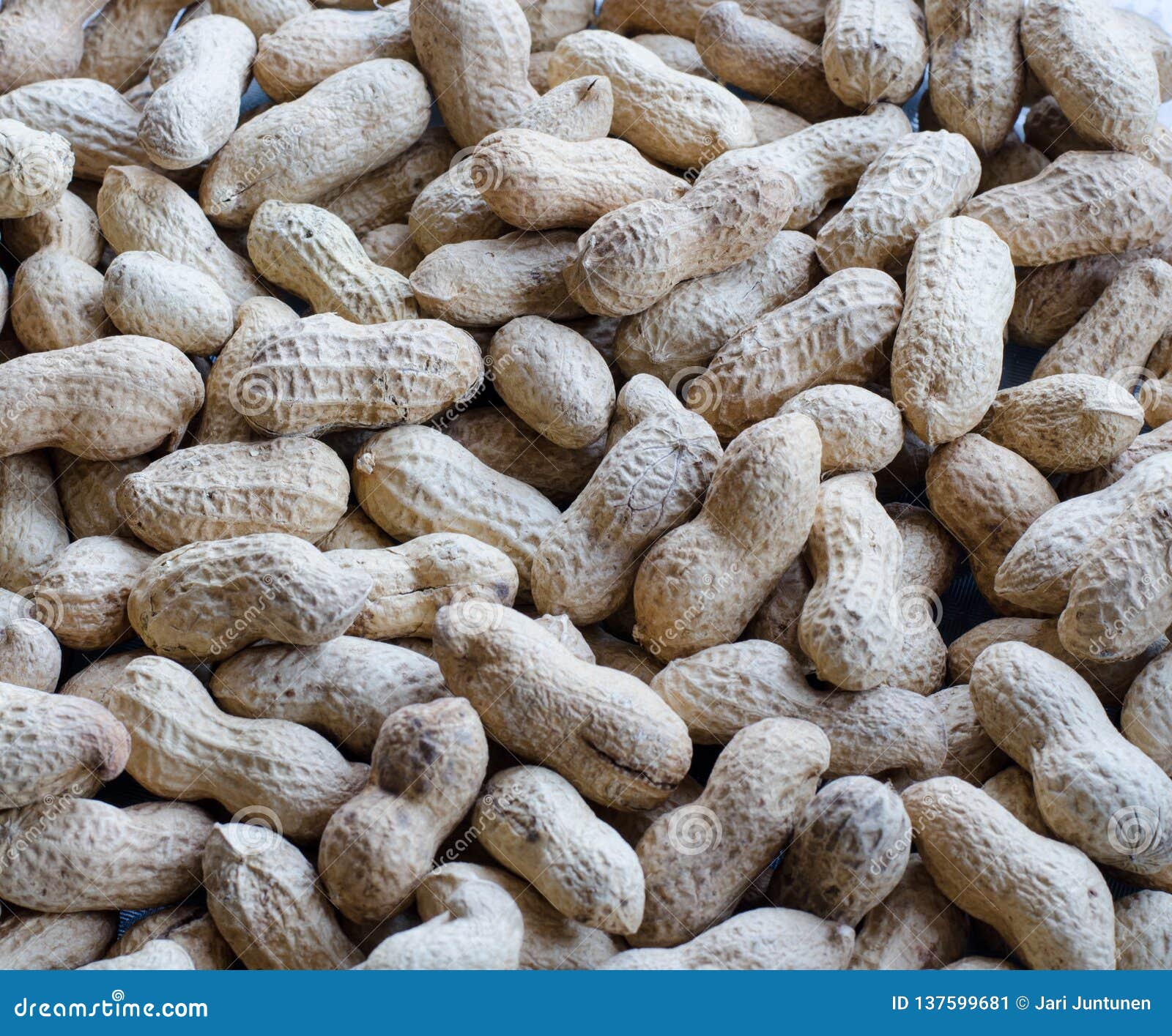 Peanuts in group on table stock image. Image of light - 137599681