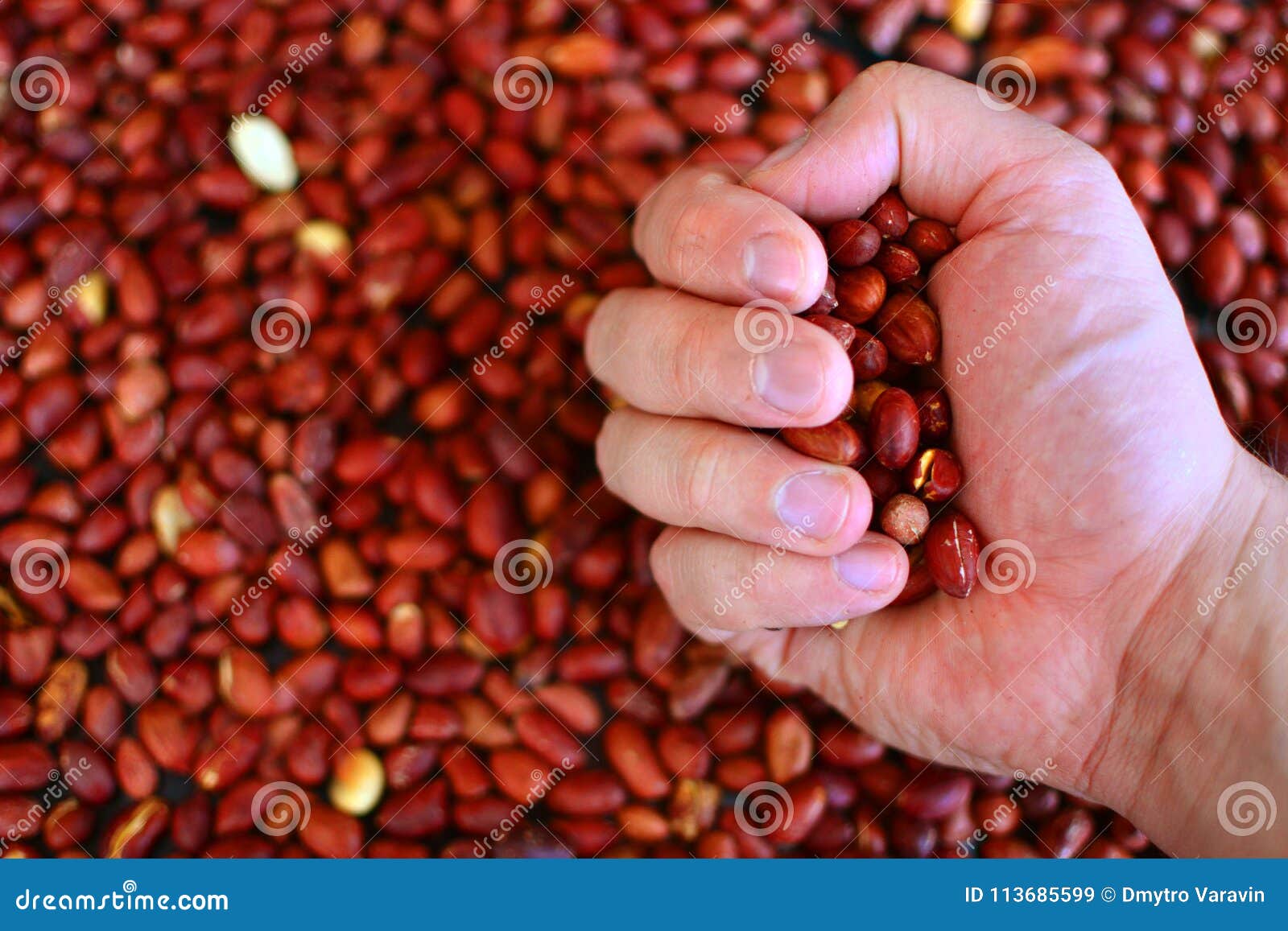 Peanuts in a Hand of a Farmer Stock Image - Image of bean, ingredient ...