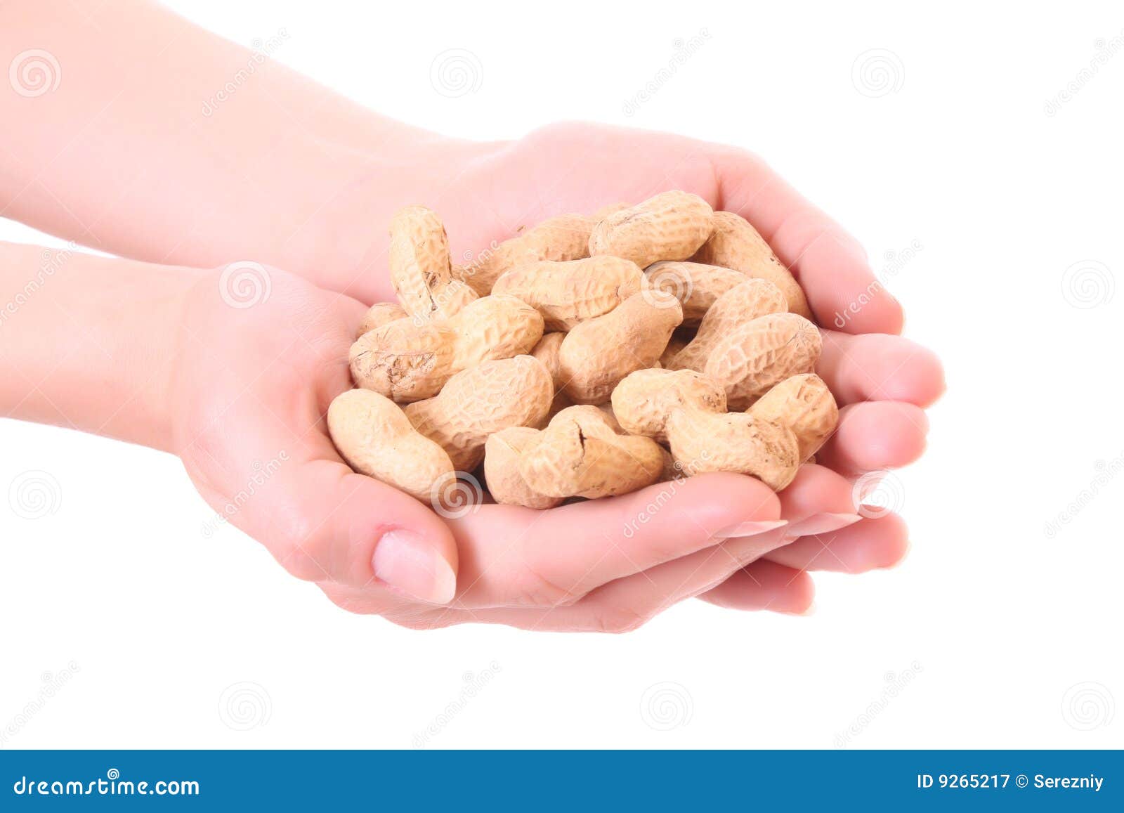 Peanuts in hand isolated stock image. Image of dried, protein - 9265217
