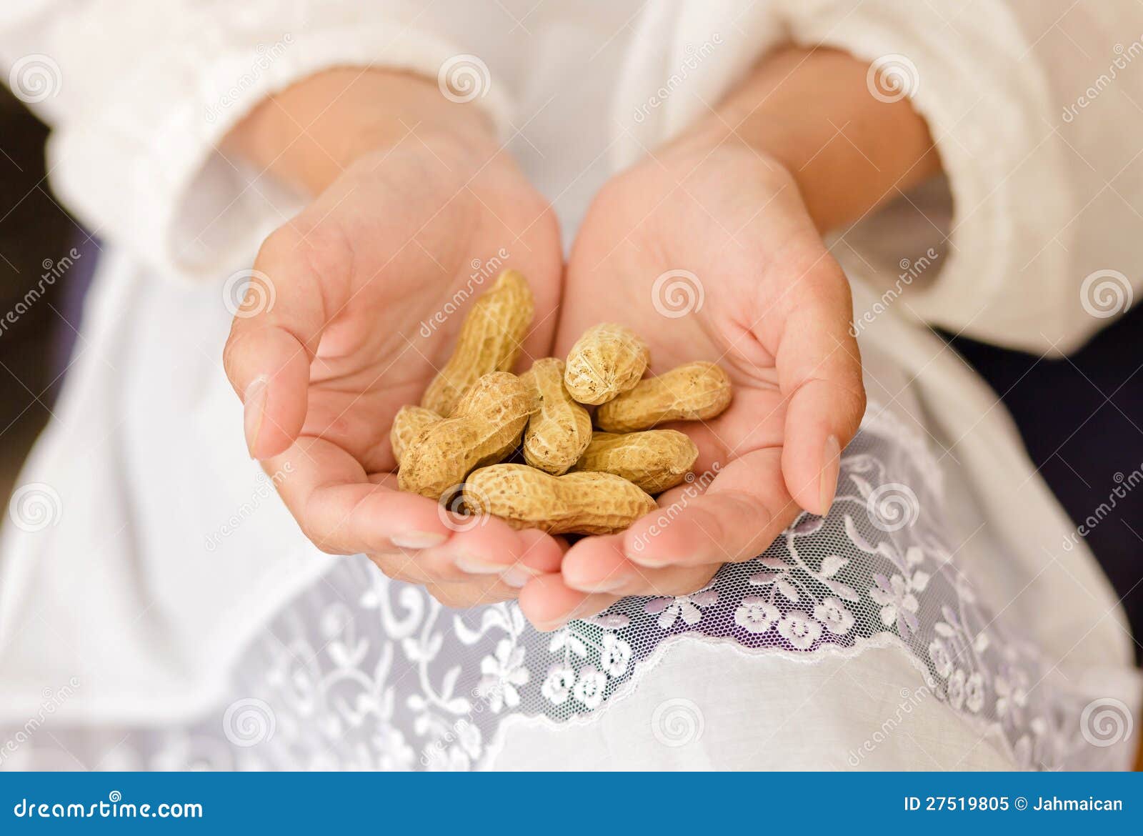 Peanuts in hands stock image. Image of full, nature, dried - 27519805