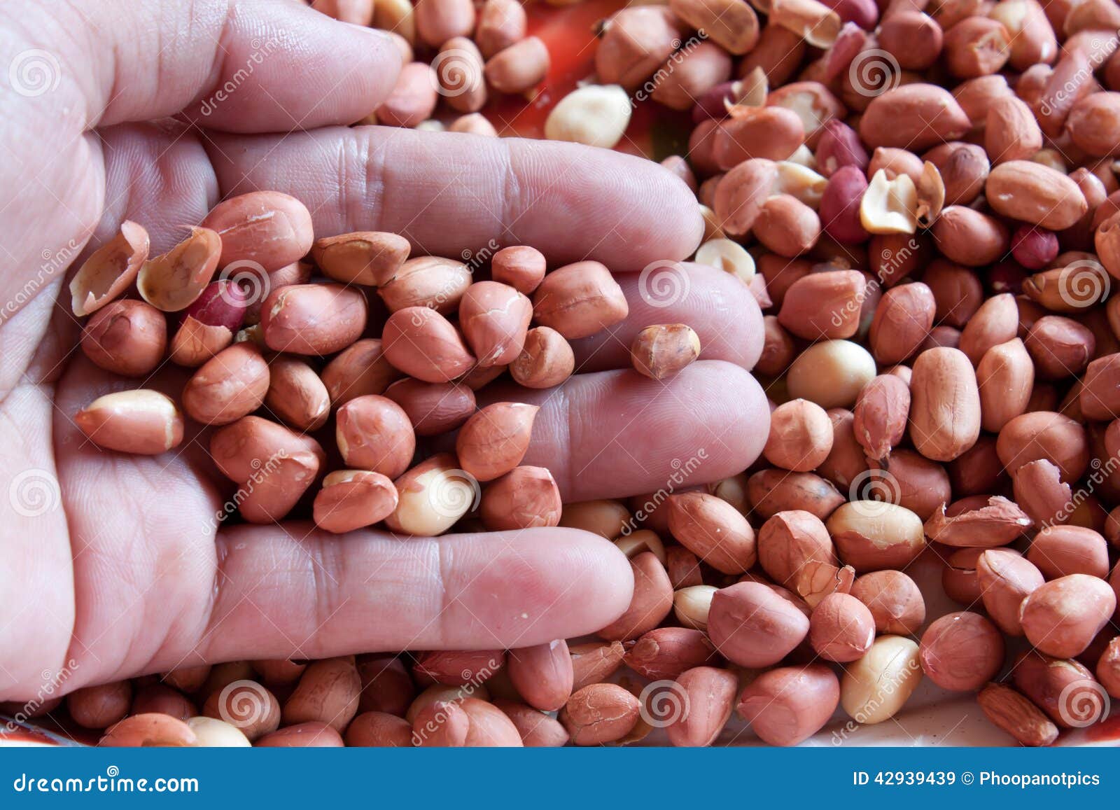 Peanuts Have A Rough, Cracked Skin Surface Texture Stock Image ...